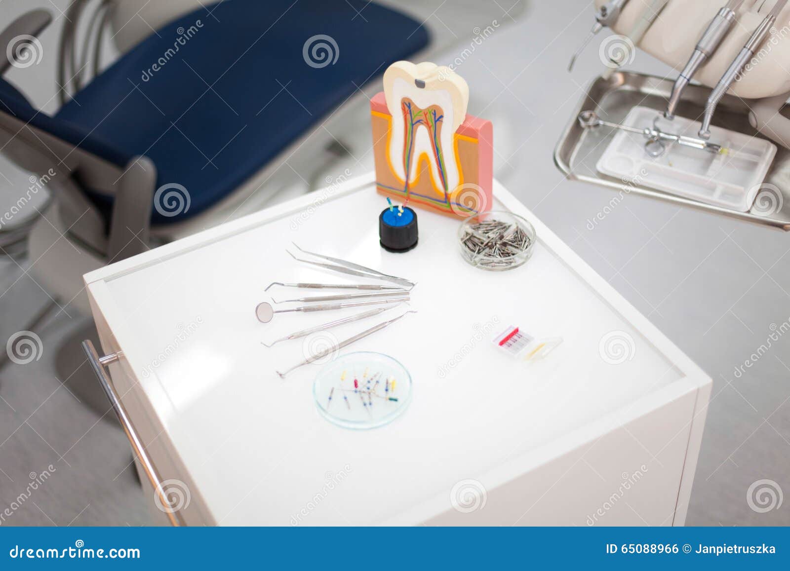 Tooth Anatomy, Bright Colorful Tone Concept Stock Photo - Image of ...