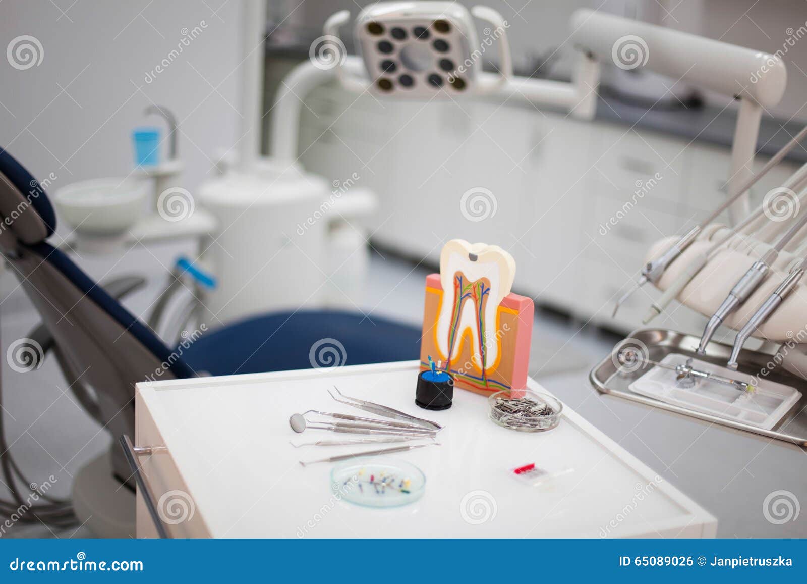 Tooth Anatomy, Bright Colorful Tone Concept Stock Photo - Image of ...
