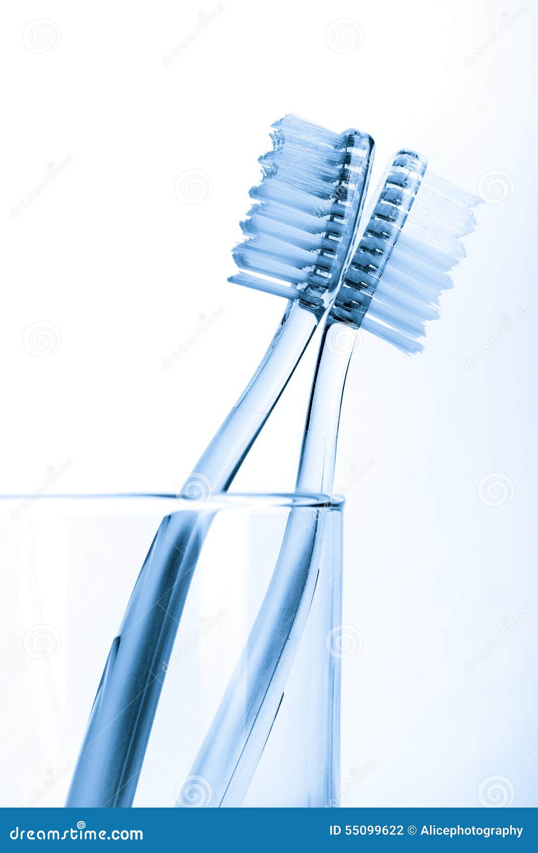 Tooth Brush in Glass Isolated on White Background Stock Photo - Image ...