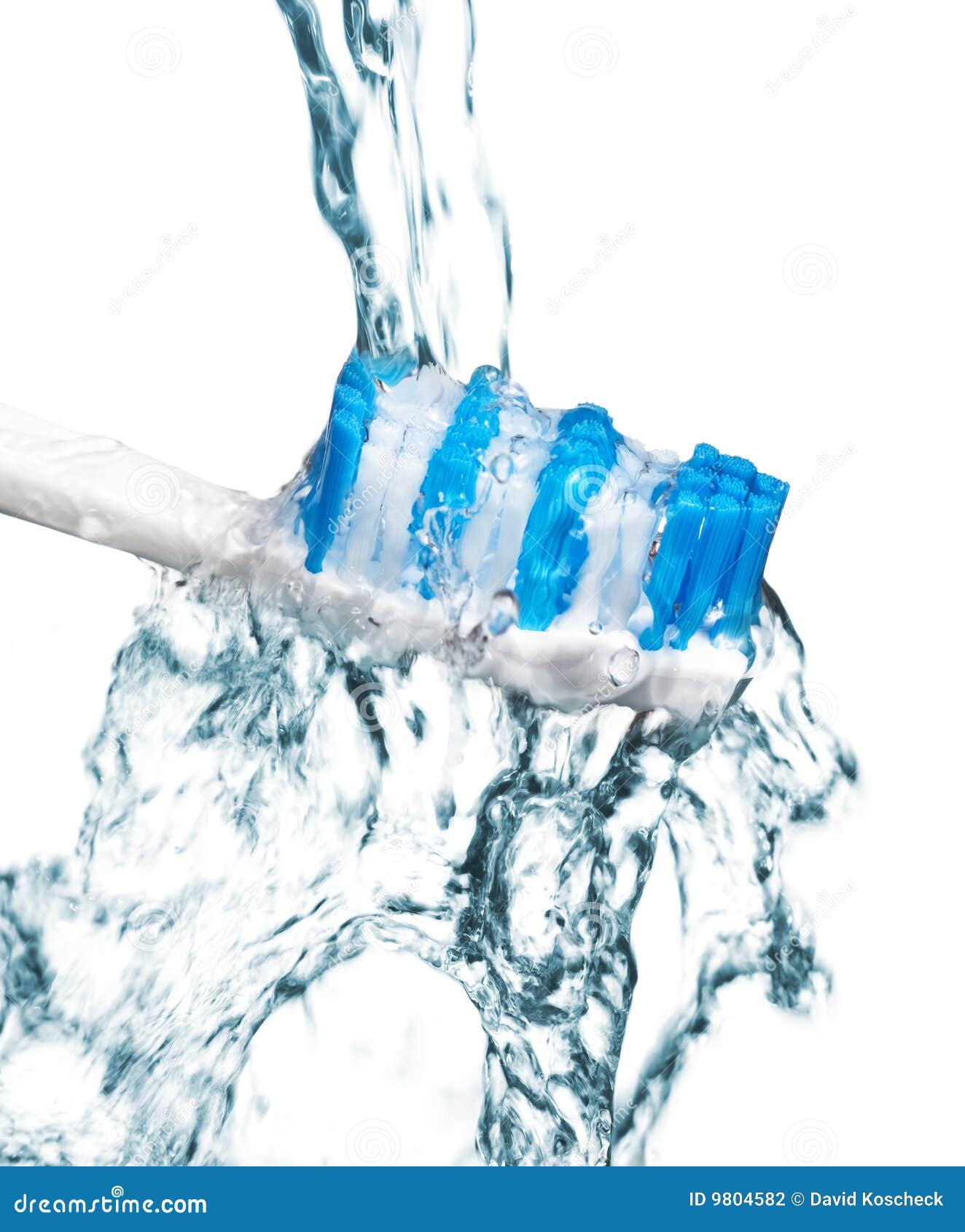 Tooth brush under water stock photo. Image of mouth, wash - 9804582