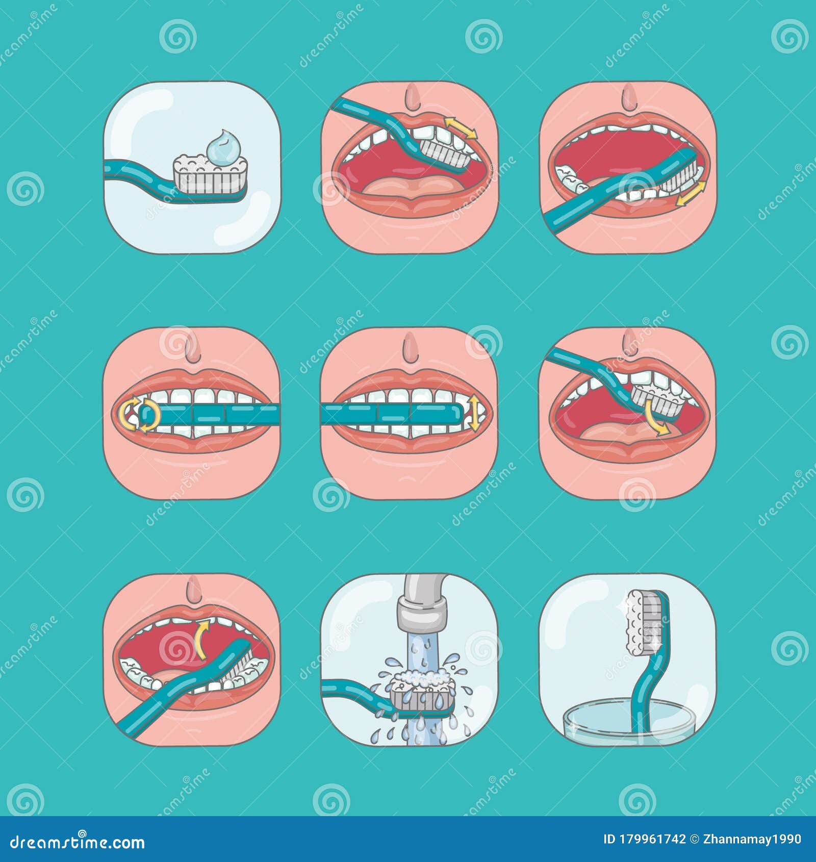 Tooth brushing scheme stock vector. Illustration of icon - 179961742