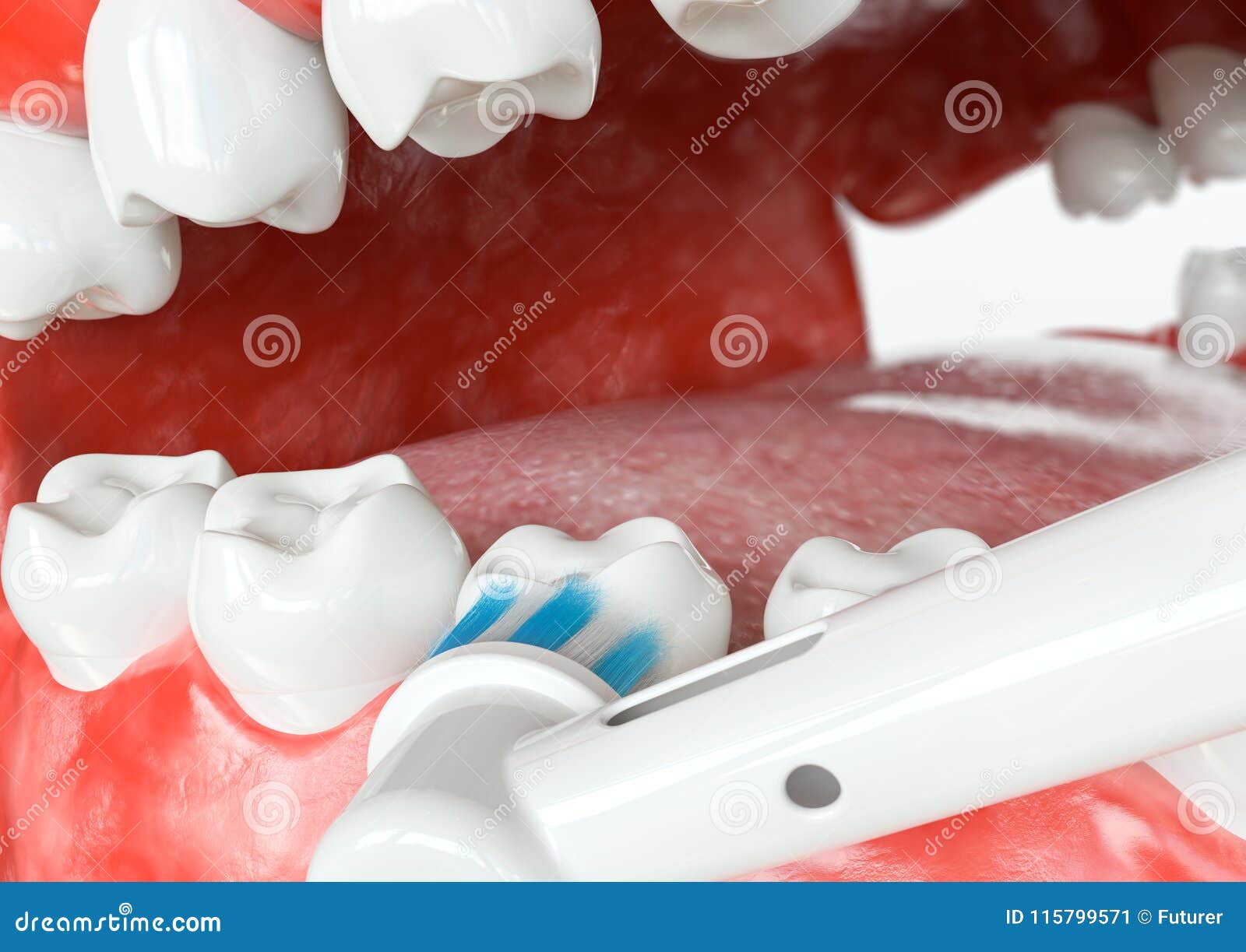 Tooth Cleaning External Surfaces - 3D Rendering Stock Image - Image of ...