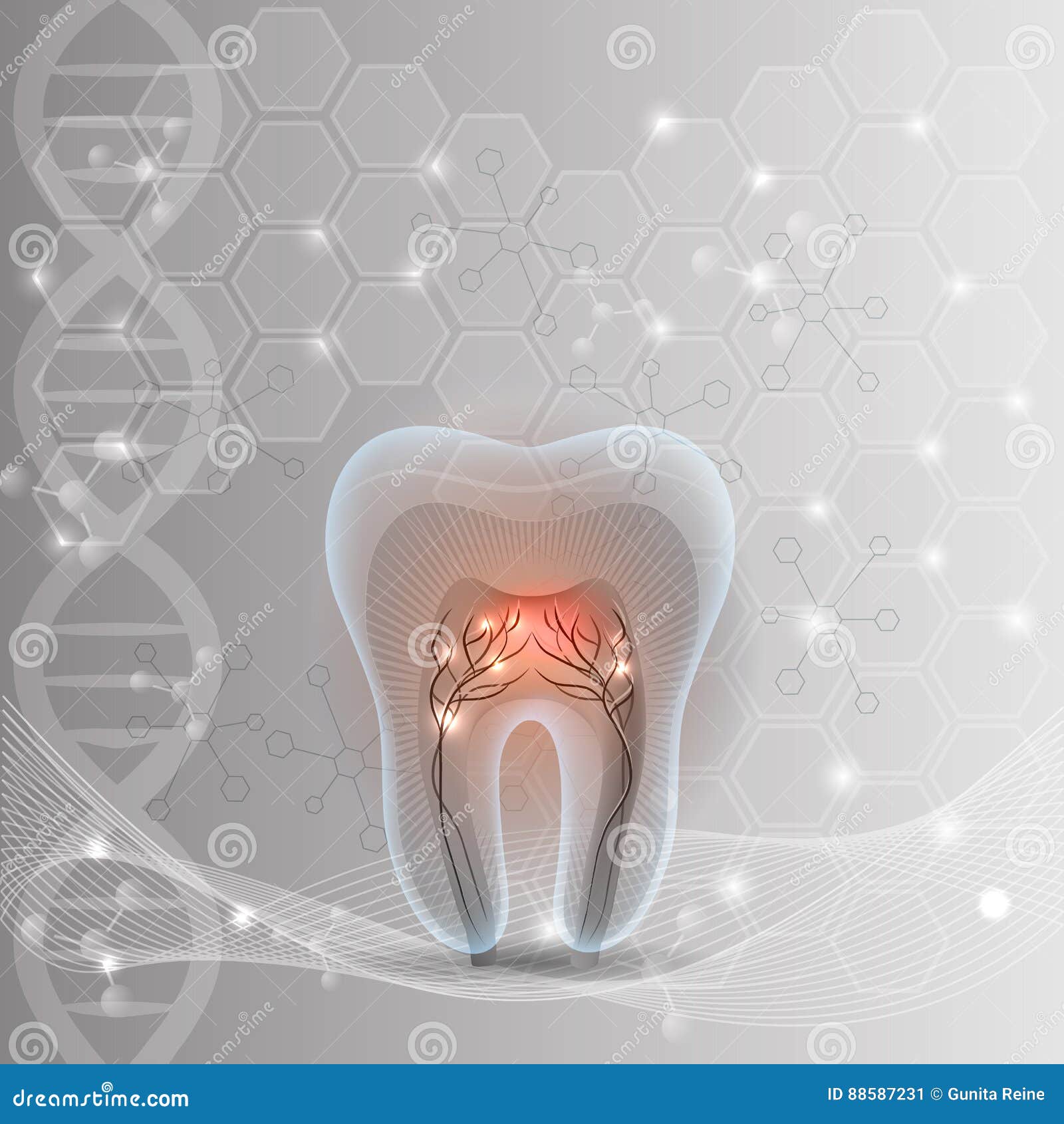 Tooth Cross Section Abstract Design Stock Vector - Illustration of care ...