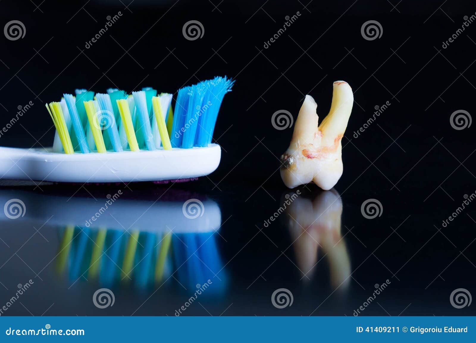Tooth Decay Versus Toothbrush Stock Image - Image of dental, cavity ...