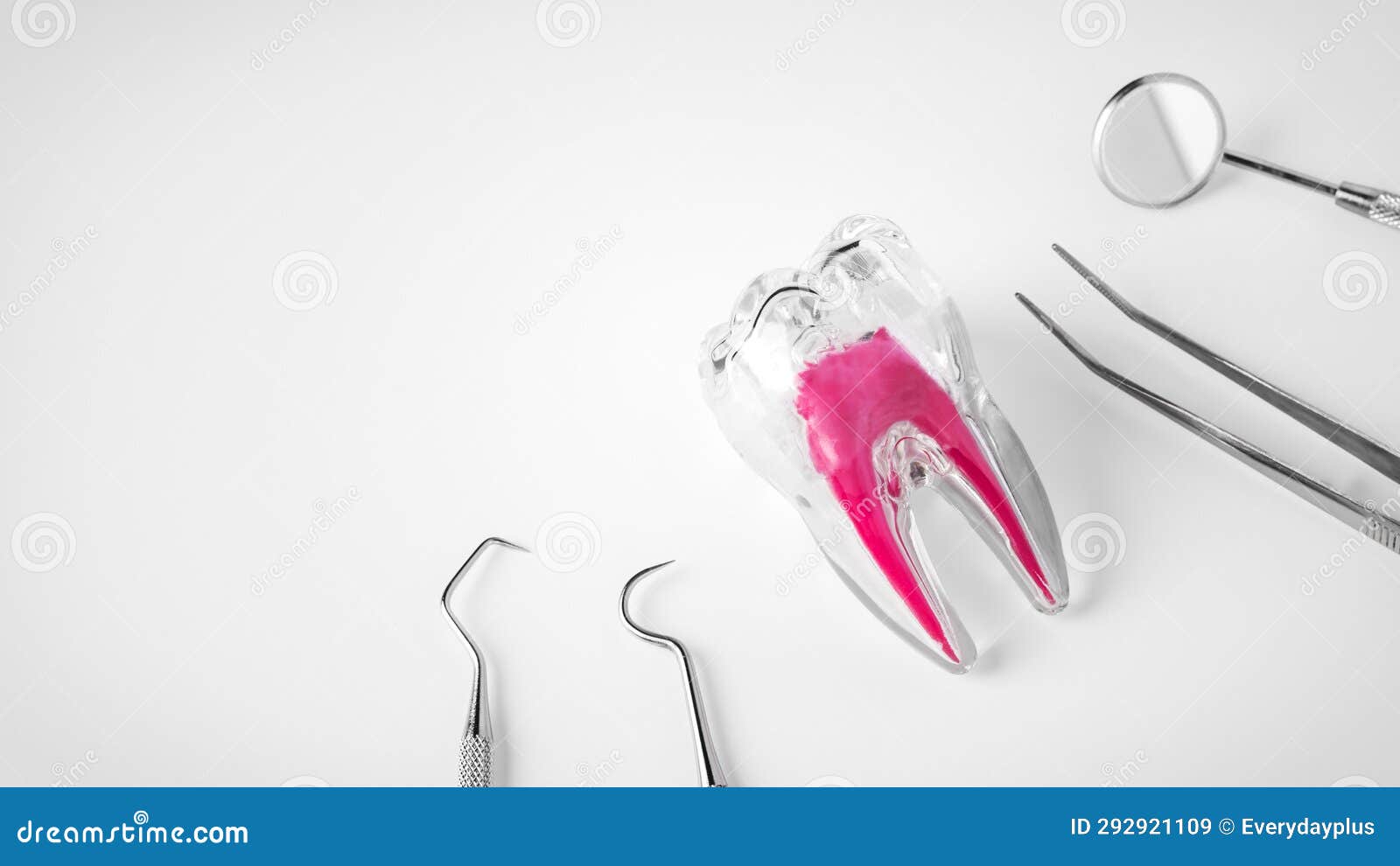 Tooth with Dental Instruments on White Background, Dental Care Stock ...