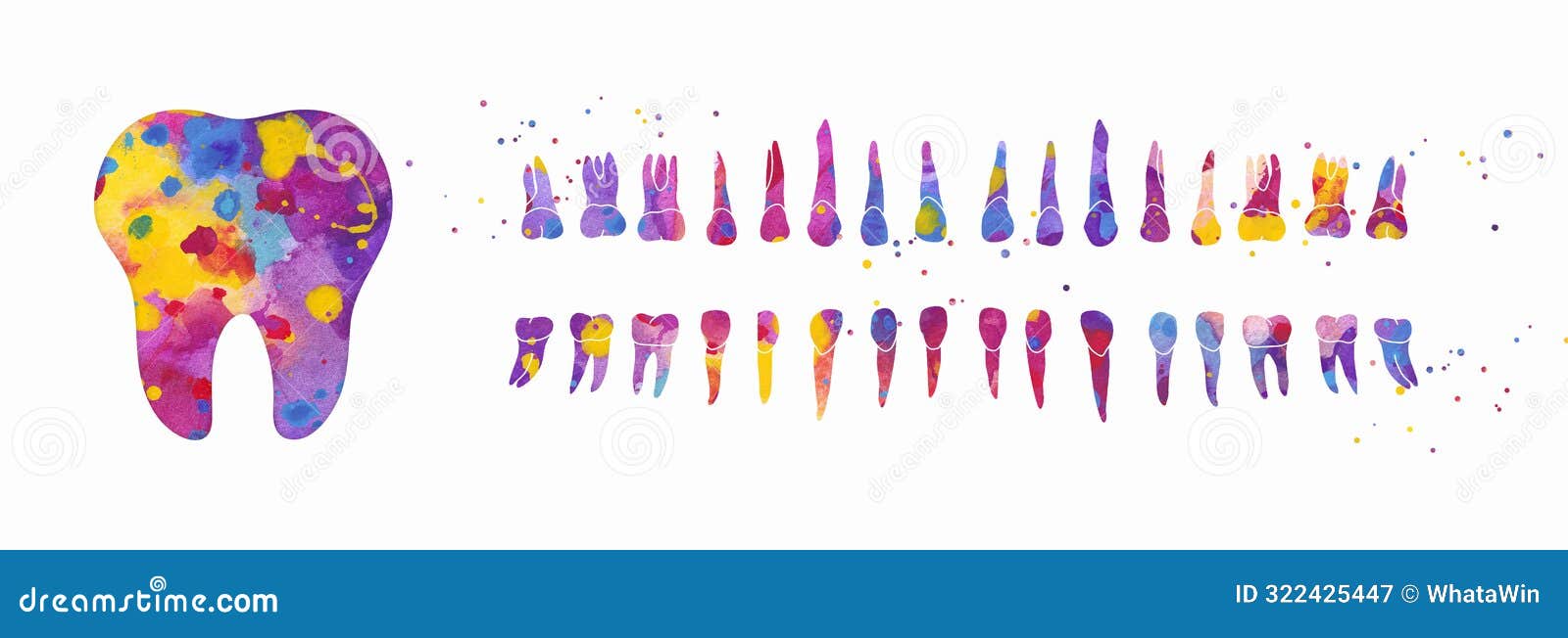 Tooth and Dental Row. Vector Colorful Watercolor Illustration Stock ...