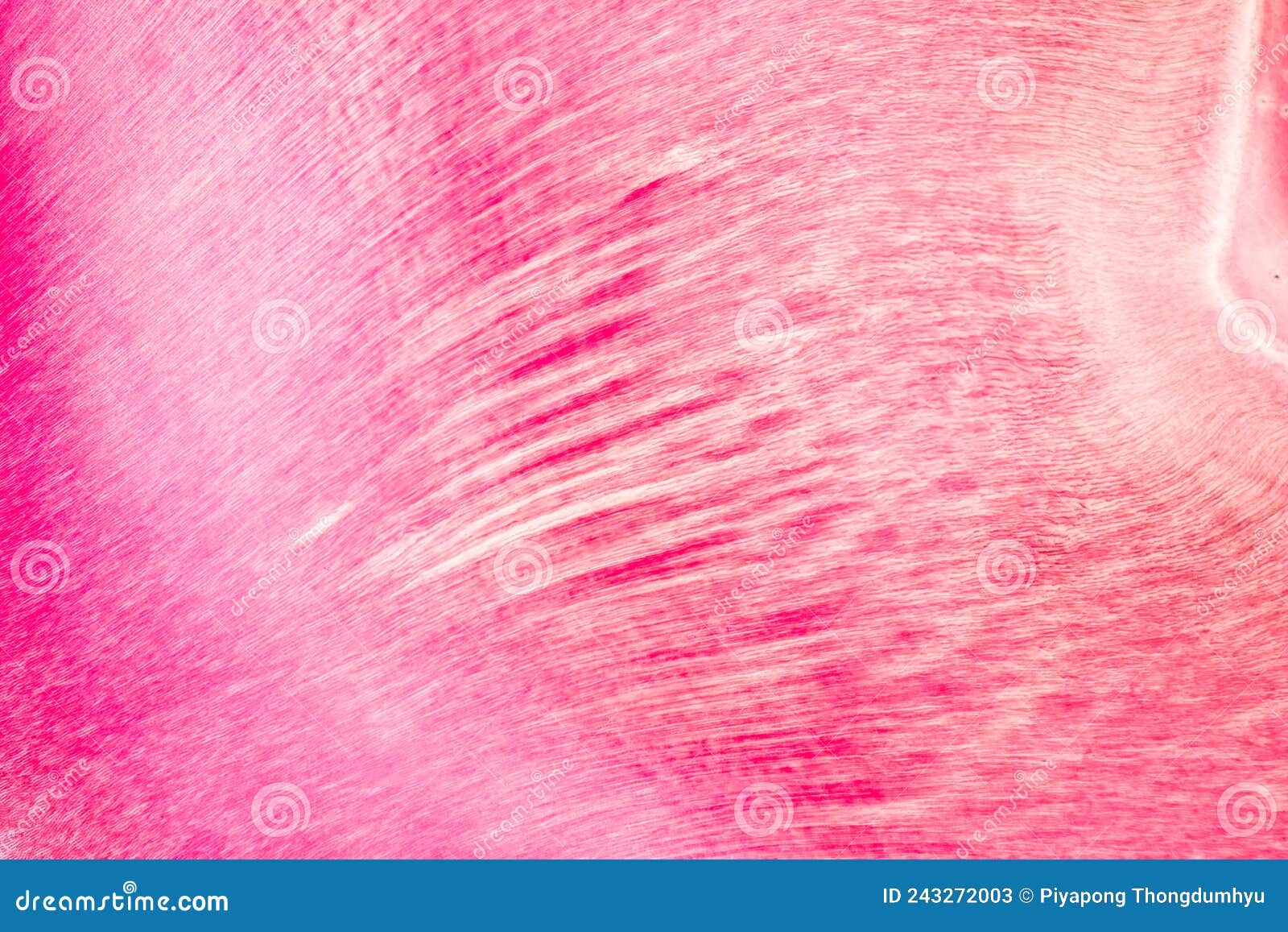 Tooth Development from Human Under Microscope . Stock Image - Image of ...
