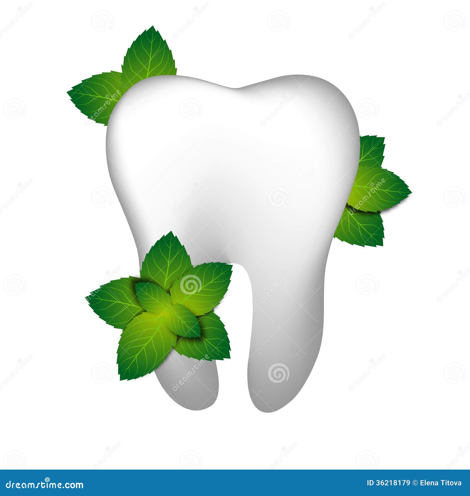 Tooth with Mint stock vector. Illustration of close, medical - 36218179