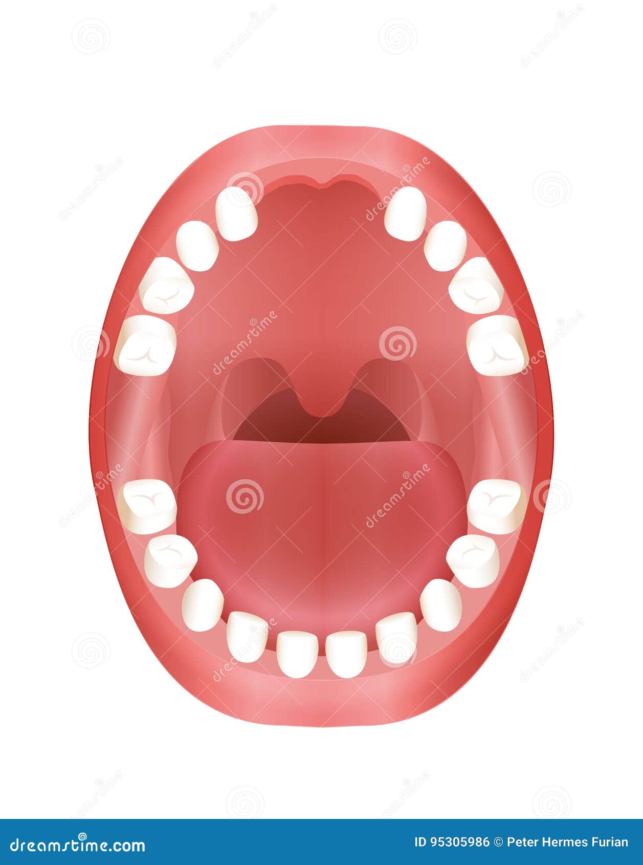 Tooth Missing Child Mouth stock vector. Illustration of children - 95305986