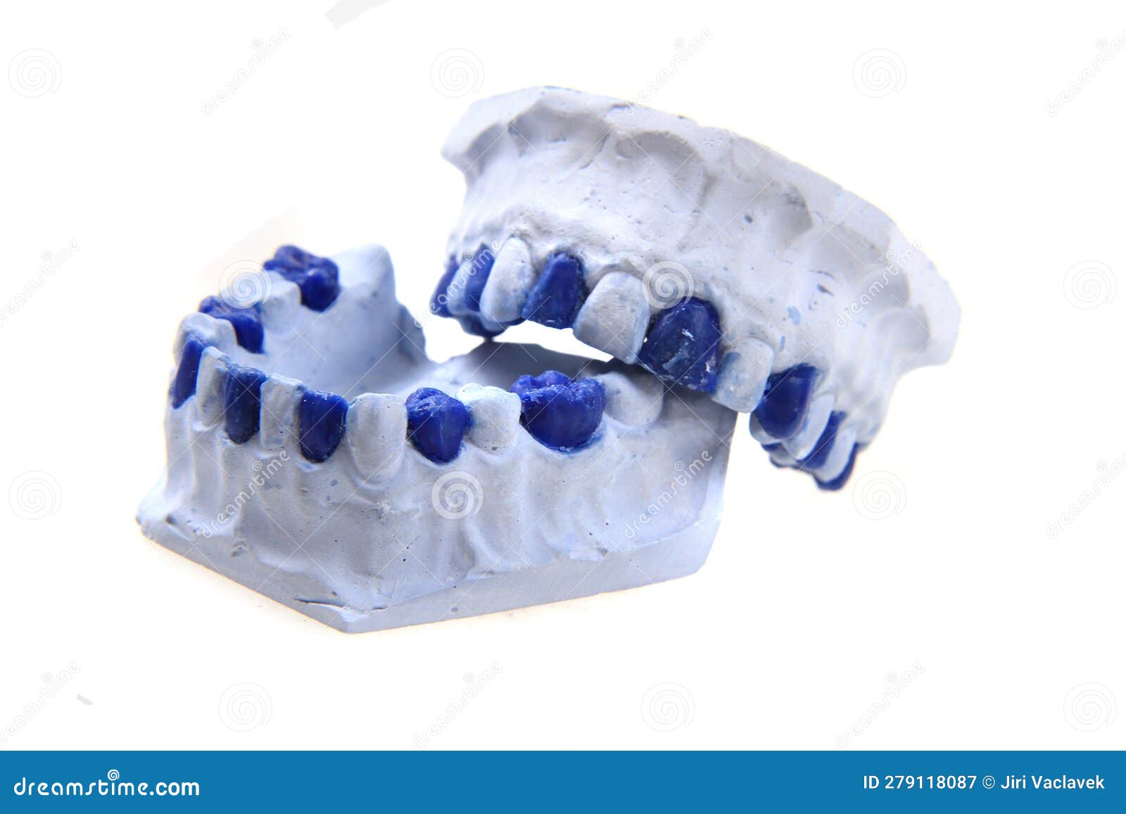 Tooth Model Objects from Dentist School Stock Image - Image of mouth ...