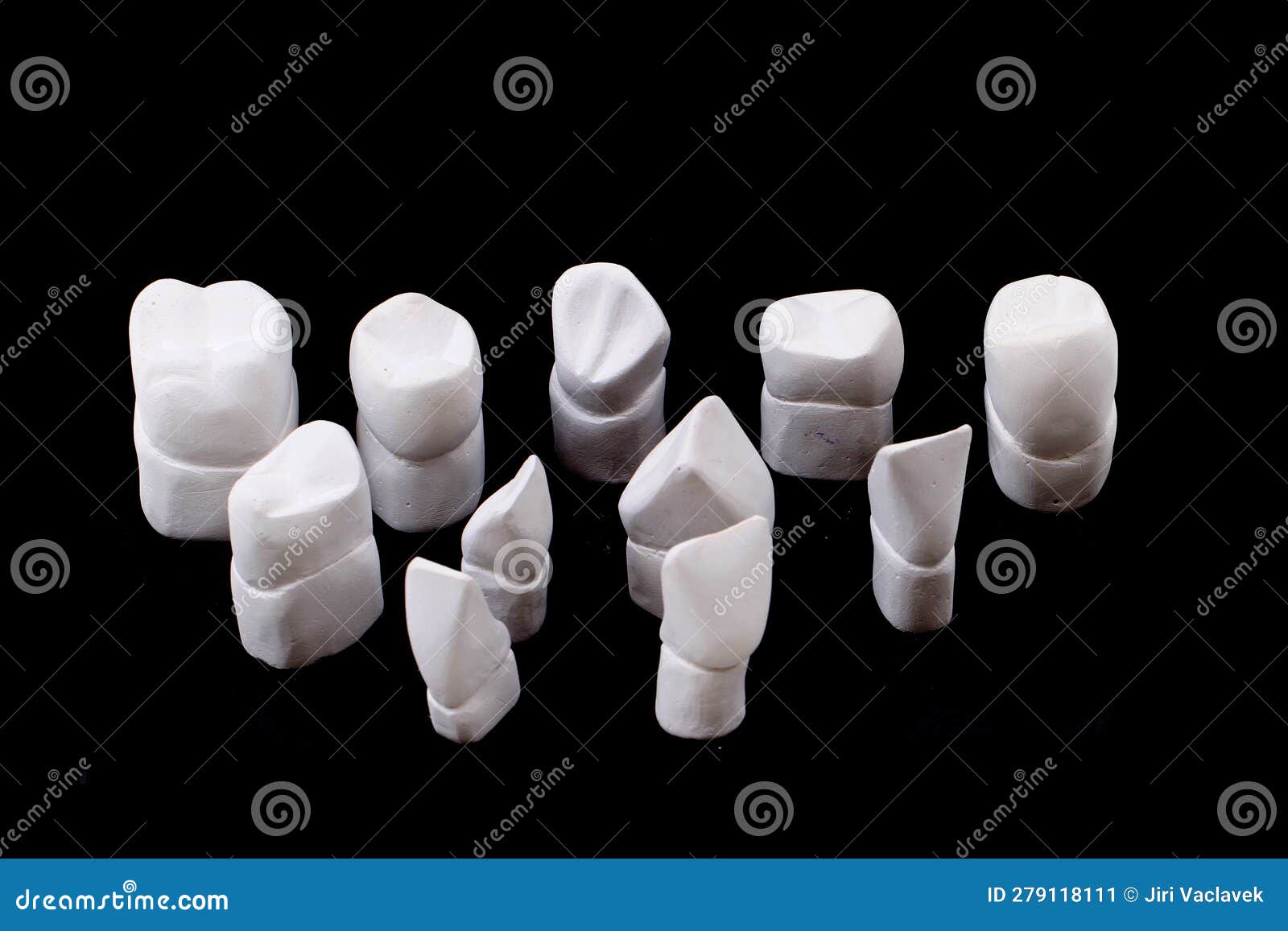Tooth Model Objects from Dentist School Stock Image - Image of ...