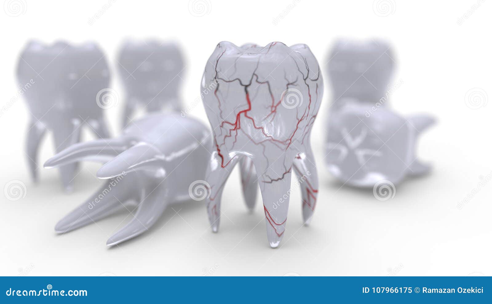 Tooth Model and Veins on the White, 3d Rendering Stock Illustration ...