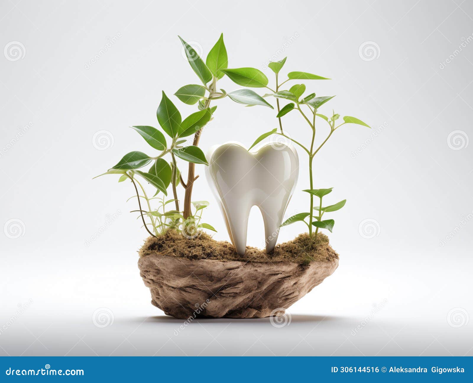 Tooth with Plants on the Ground Isolated Over Light Background. Stock ...