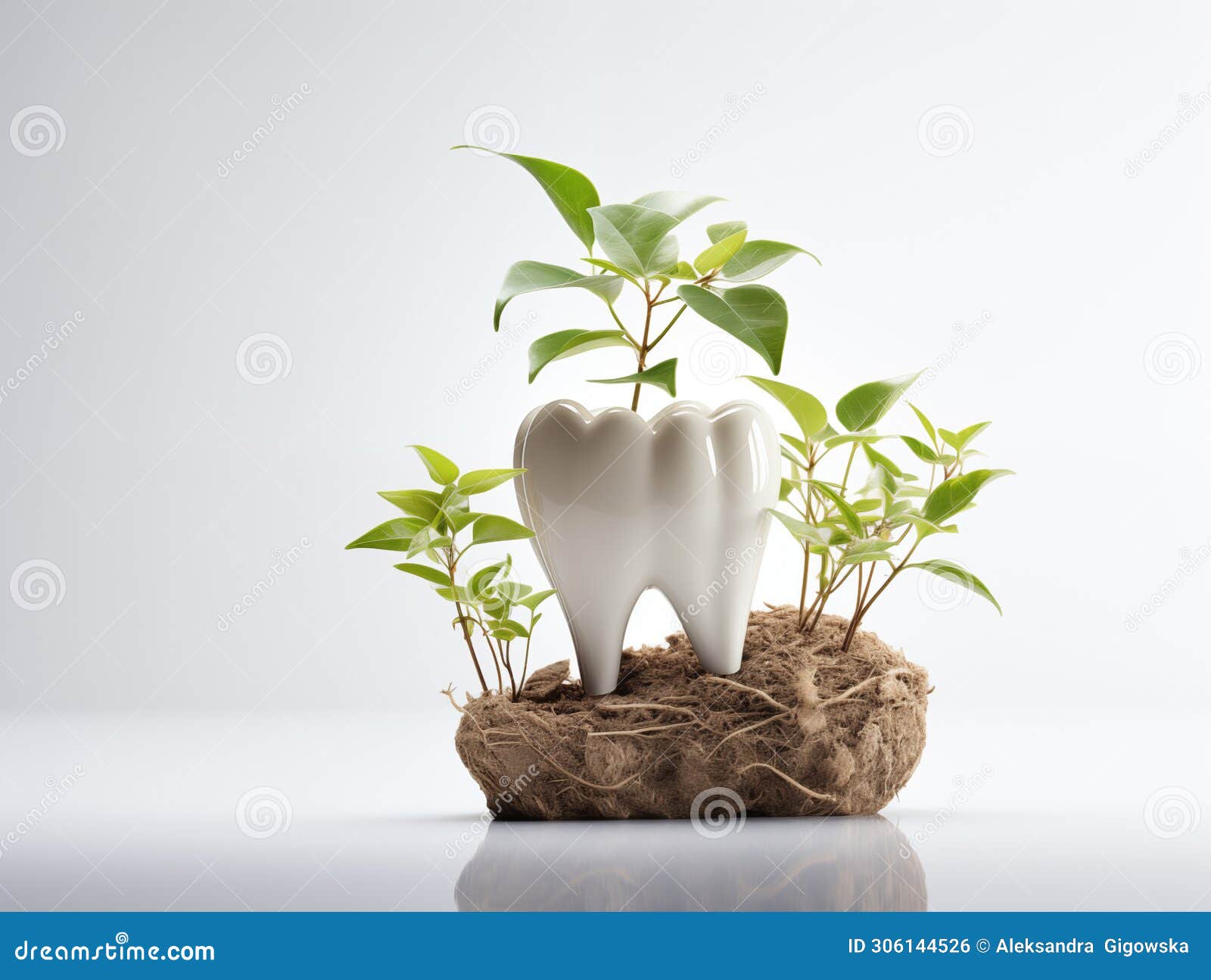 Tooth with Plants on the Ground Isolated Over Light Background. Stock ...