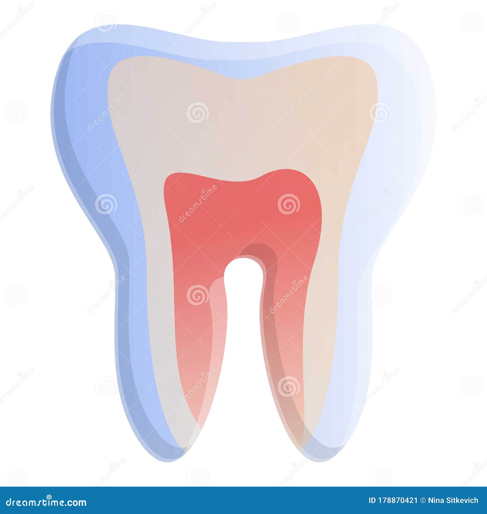Cartoon Tooth Root Canal Treatment | CartoonDealer.com #69863819