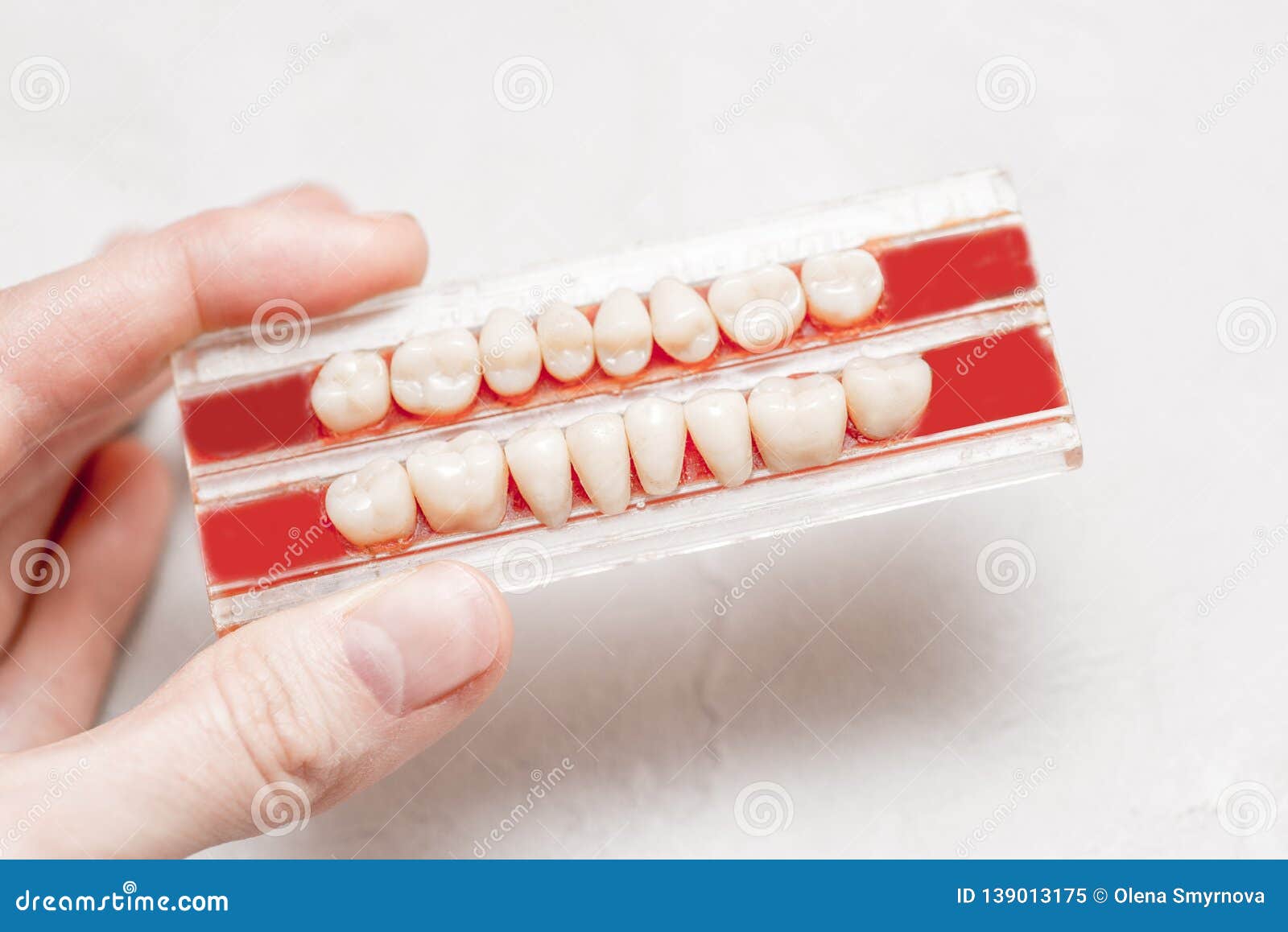 Samples of human teeth stock image. Image of equipment - 139013175