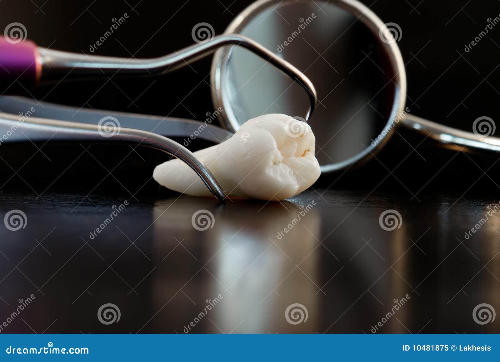 Tooth and Tools for Treatment Stock Image - Image of health, roots ...