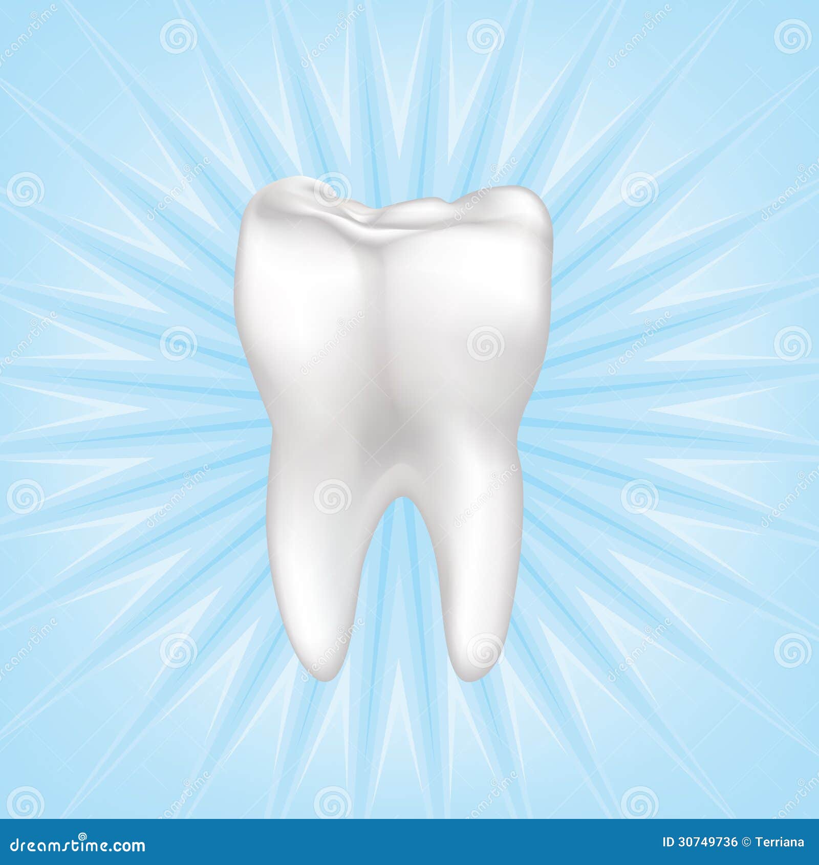 Tooth Vector Illustration. Isolated. Stock Vector - Illustration of ...