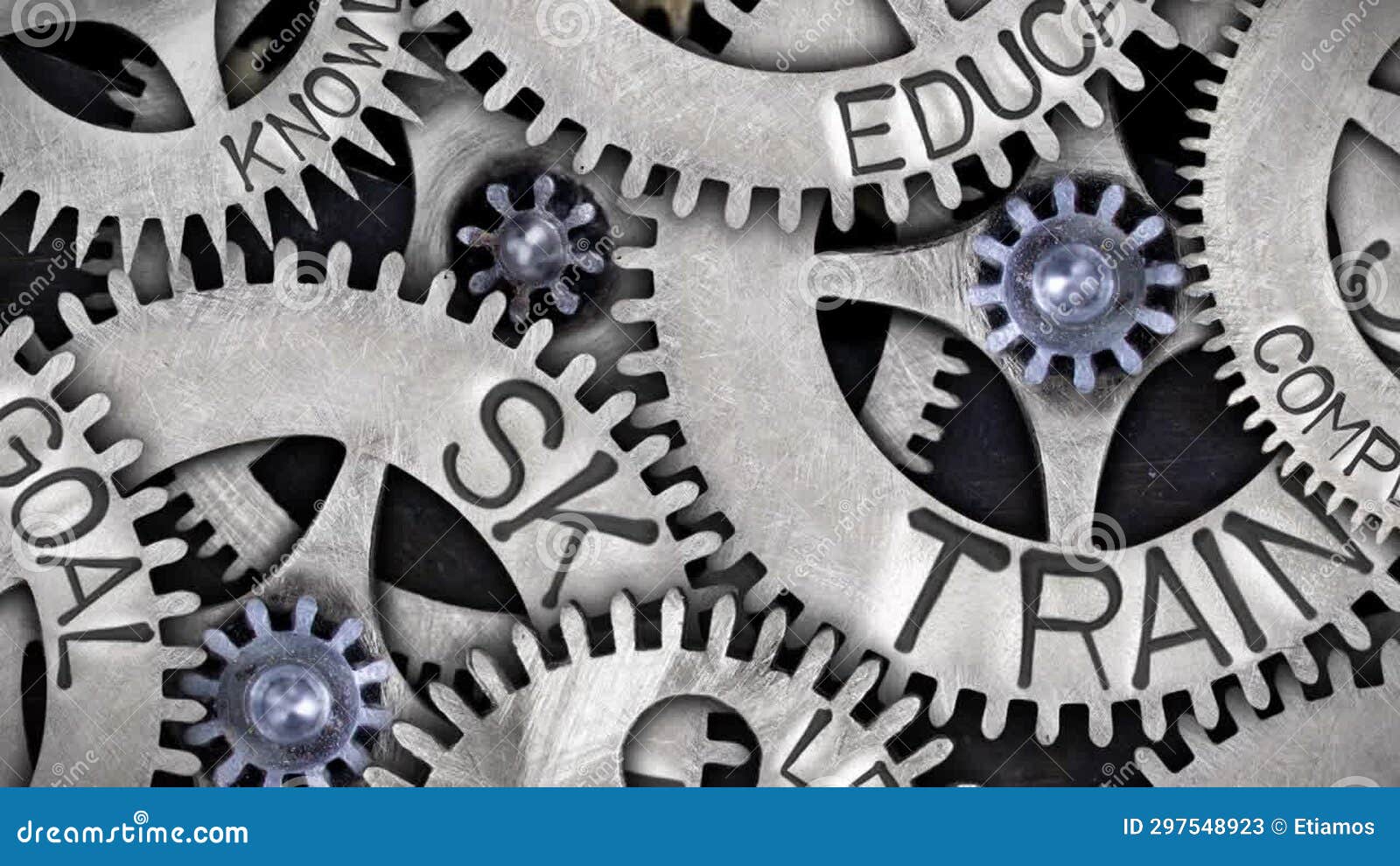 Tooth Wheels with Skill Training Concept. Stock Video - Video of ...