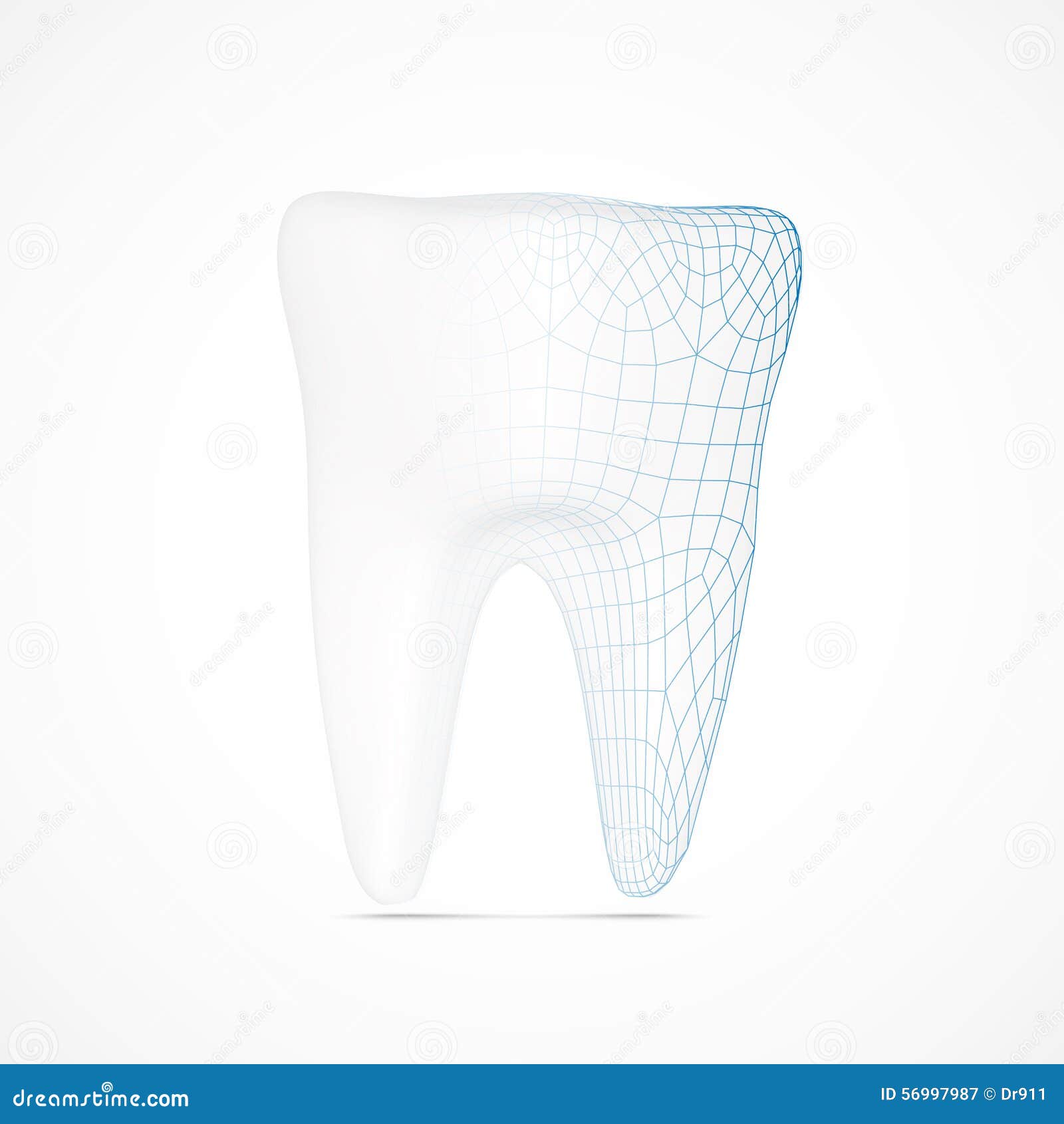 Tooth wireframe stock vector. Illustration of medicine - 56997987