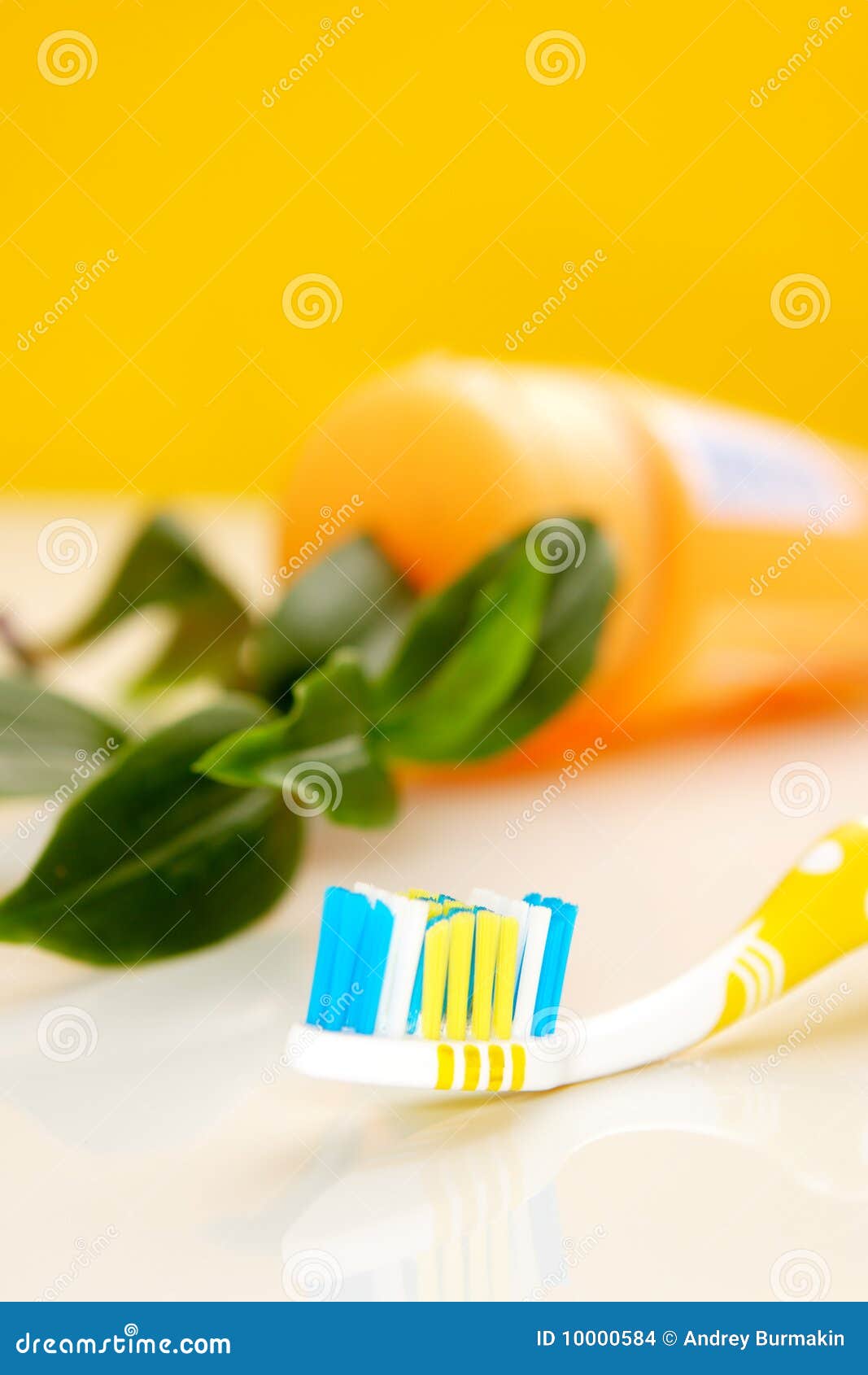 Toothbrush stock photo. Image of lifestyle, healthcare - 10000584