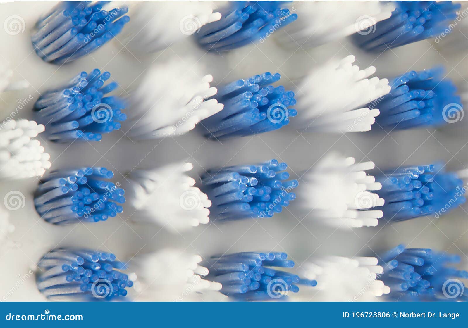 Toothbrush with Blue White Bristles Stock Photo - Image of bundle ...