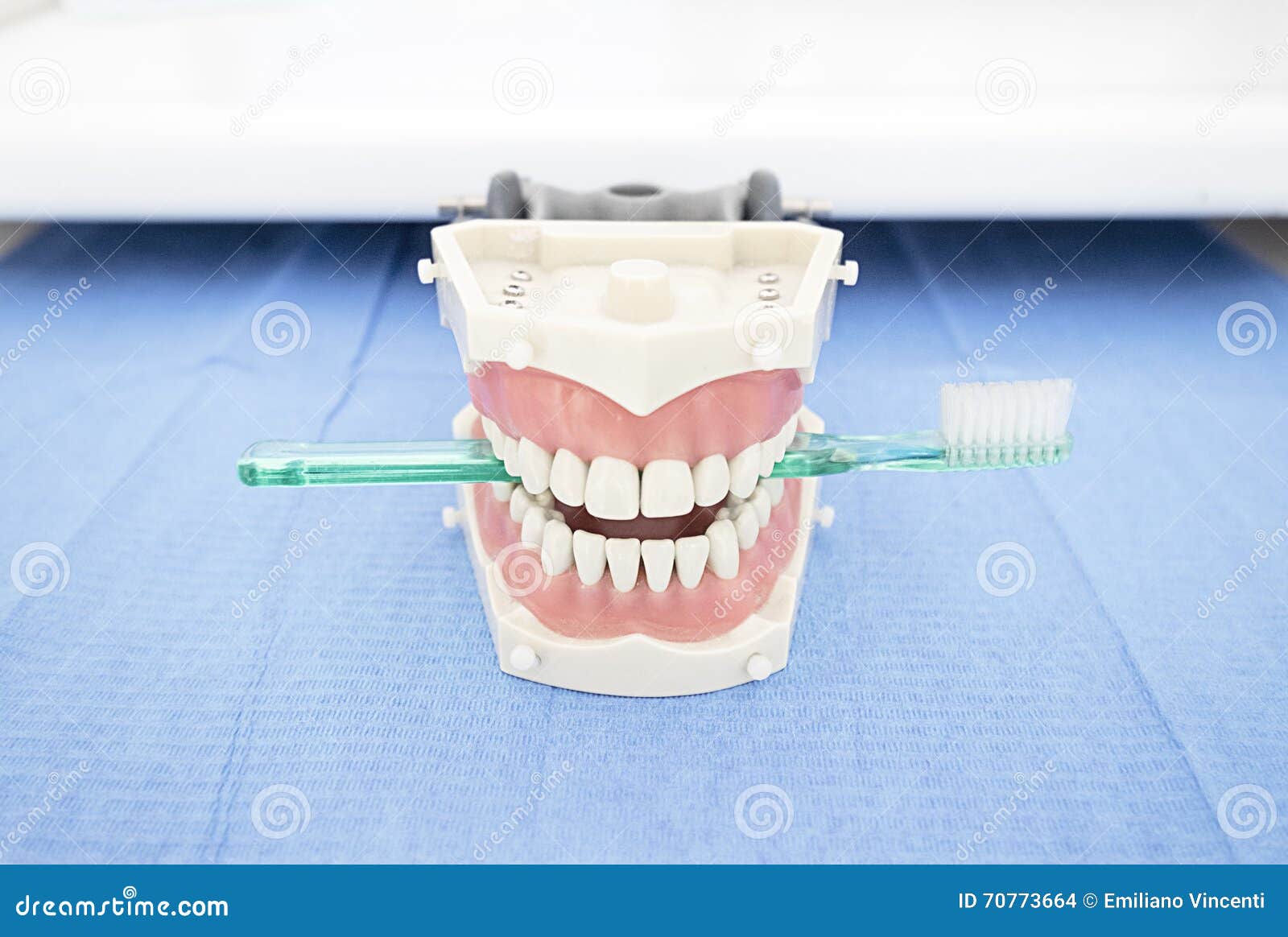 Mastication Brush Stock Photos - Free & Royalty-Free Stock Photos from ...