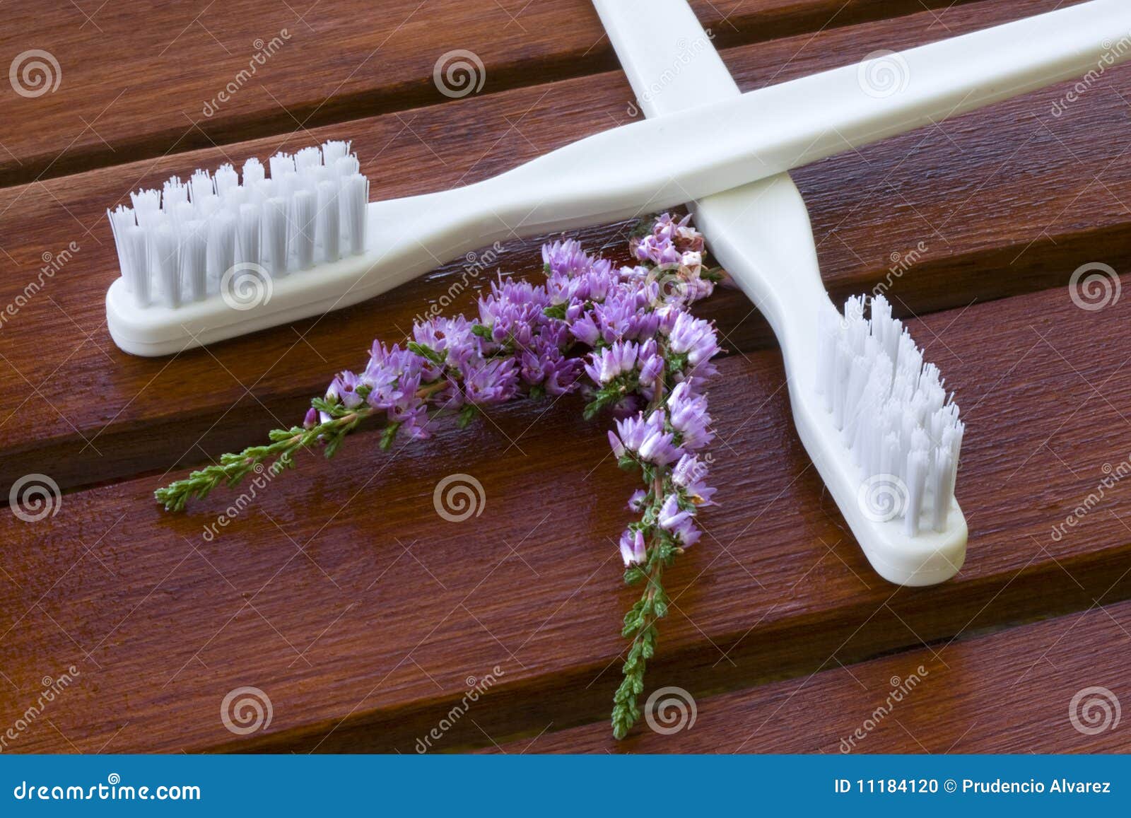 Toothbrush with flower stock photo. Image of closeup - 11184120