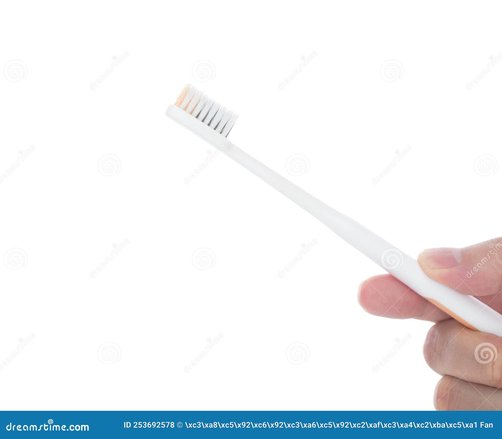 Toothbrush in Front of White Background Stock Photo - Image of brush ...