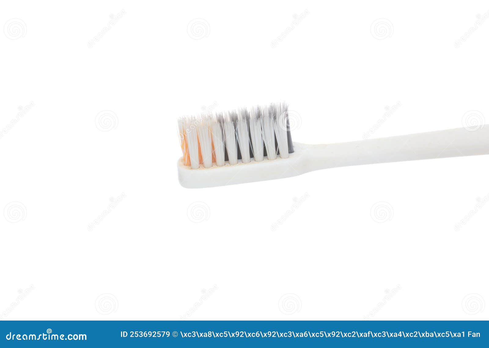 Toothbrush in Front of White Background Stock Image - Image of brushing ...
