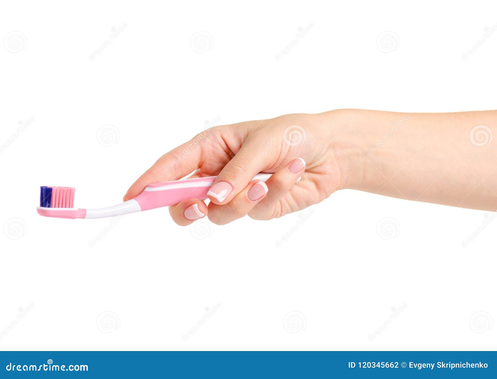 Toothbrush in hand stock photo. Image of fresh, blue - 120345662