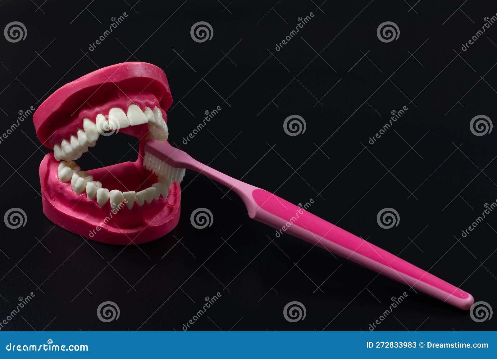 Toothbrush and Layout of the Human Jaw on the Black Background Stock ...