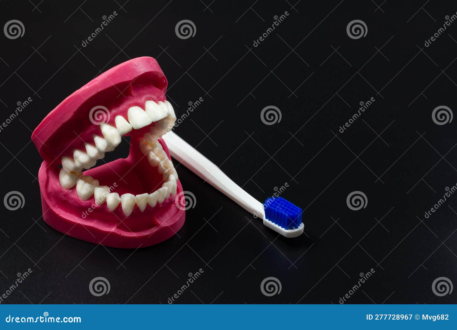Toothbrush and Layout of the Human Jaw on the Black Background Stock ...