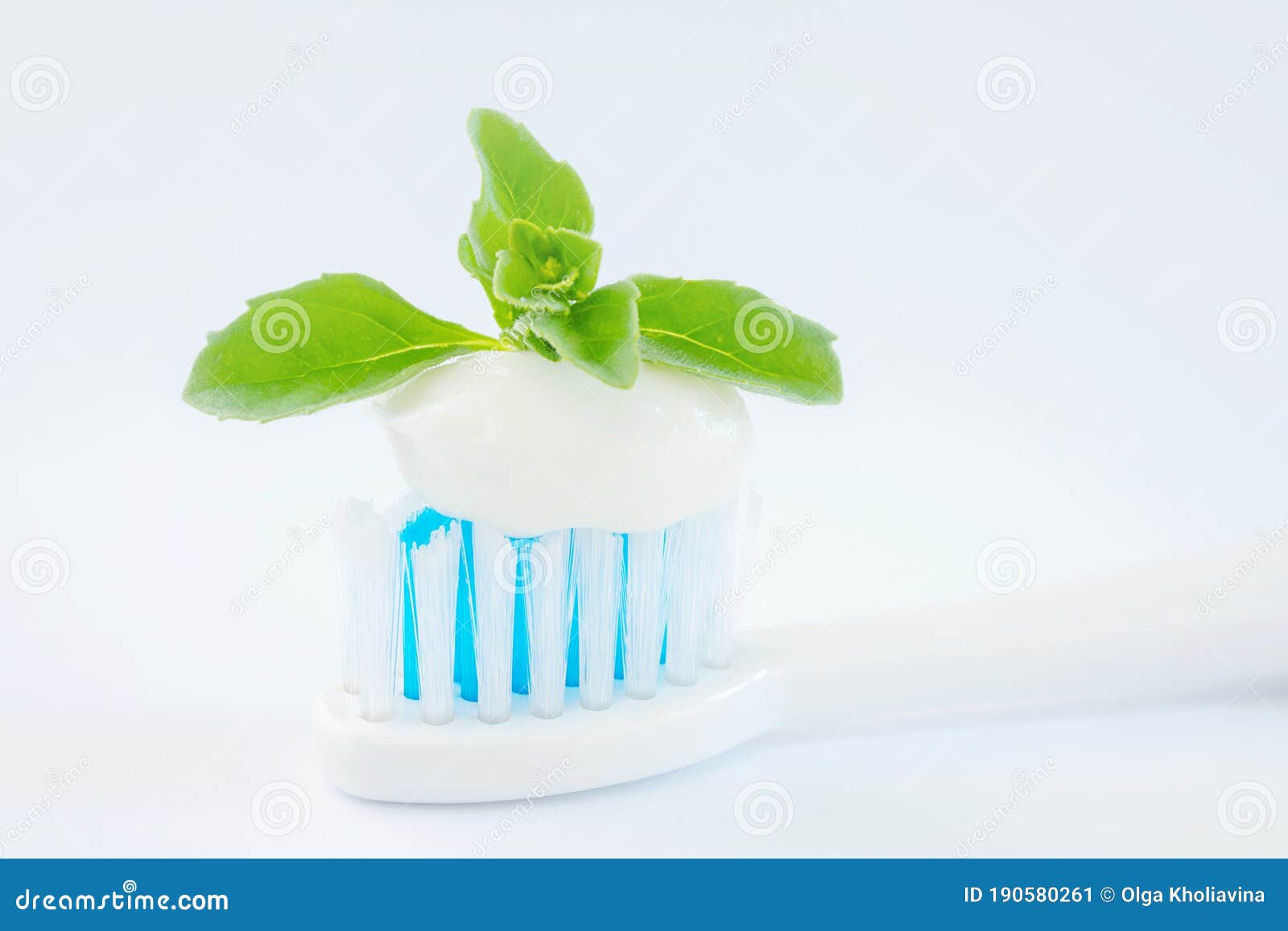 Toothbrush with Paste and Mint Leaves on a Light Background Stock Image ...