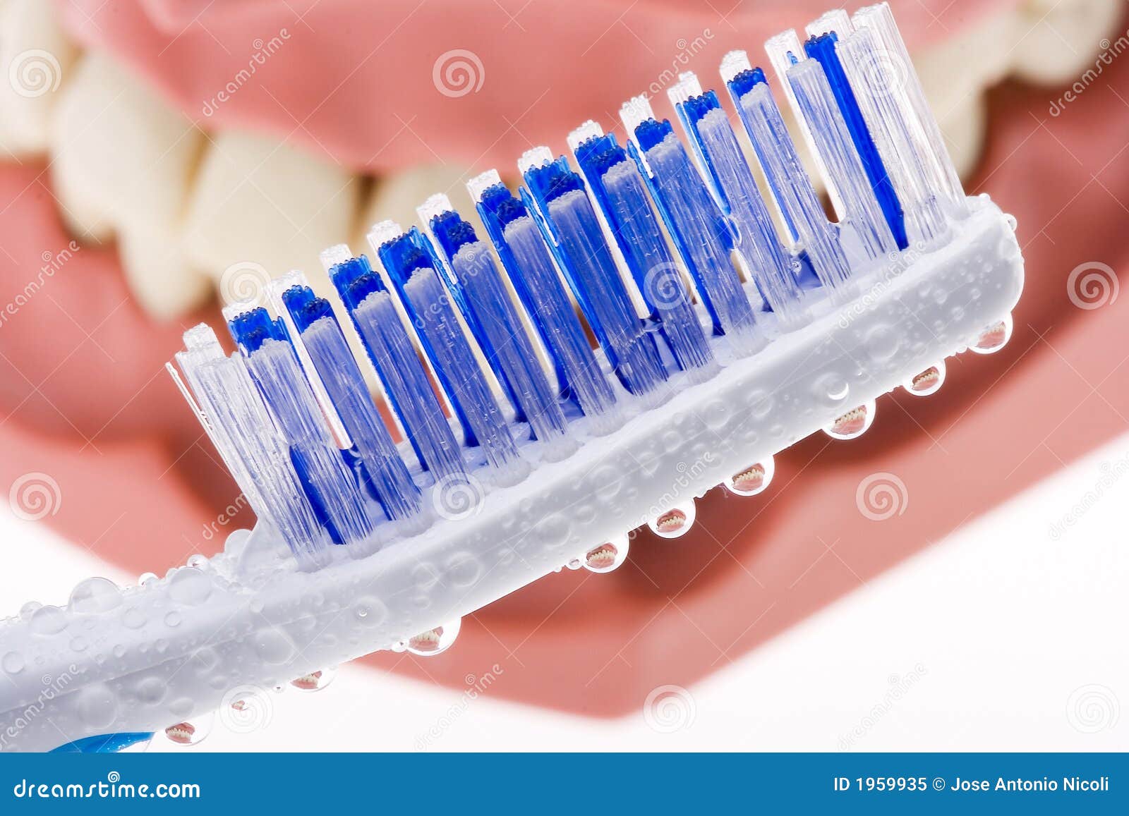 Toothbrush and teeth stock image. Image of mouth, hygiene - 1959935