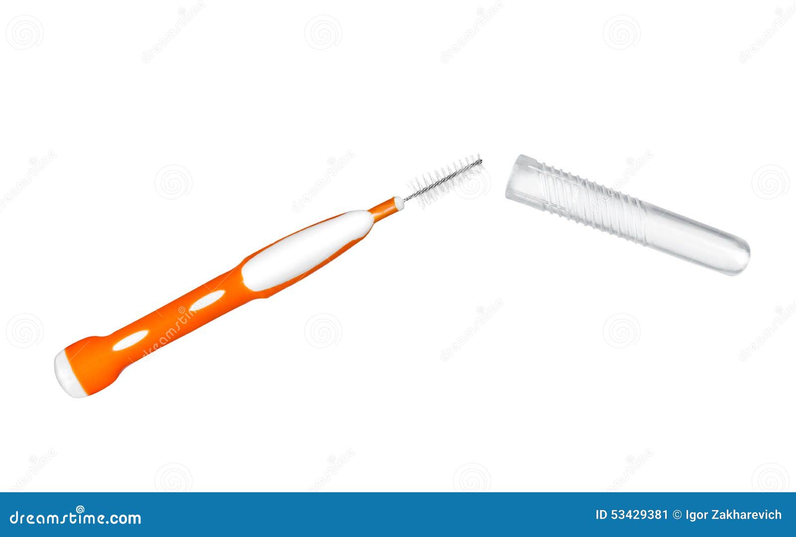 Toothbrush between the Teeth with a Lid Stock Image - Image of healthy ...