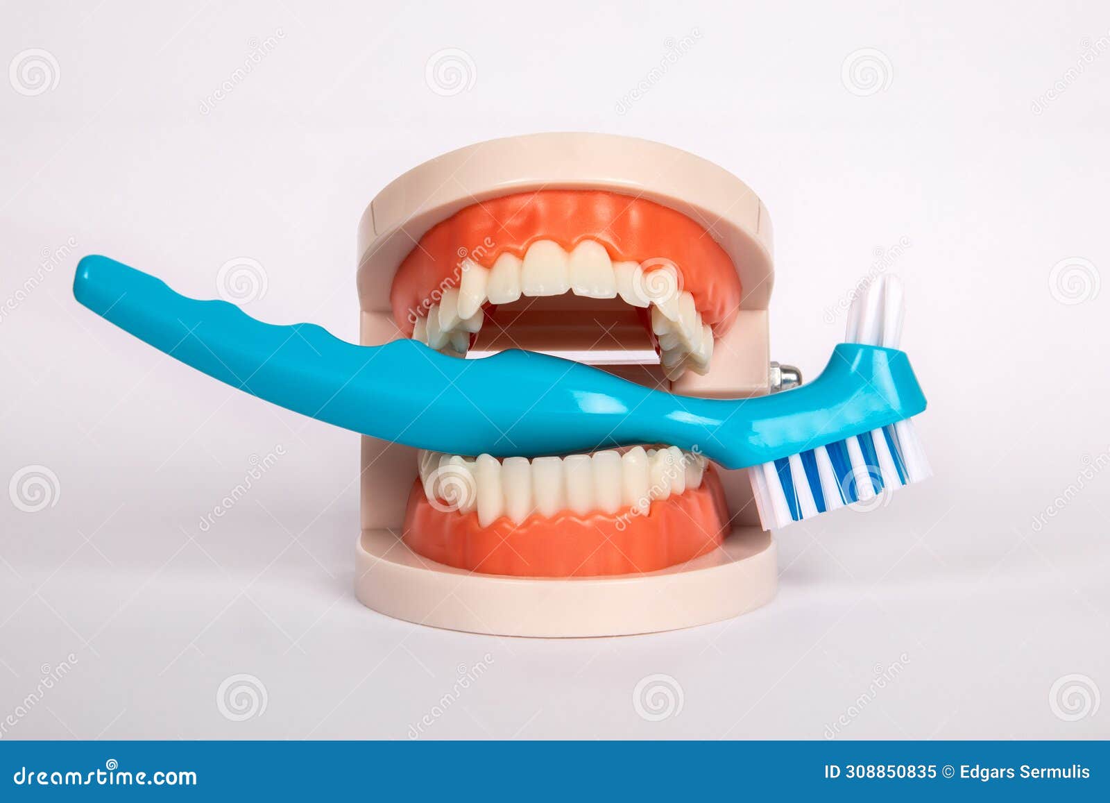 Toothbrush between Teeth of Teeth Pattern on a White Background. Tooth ...