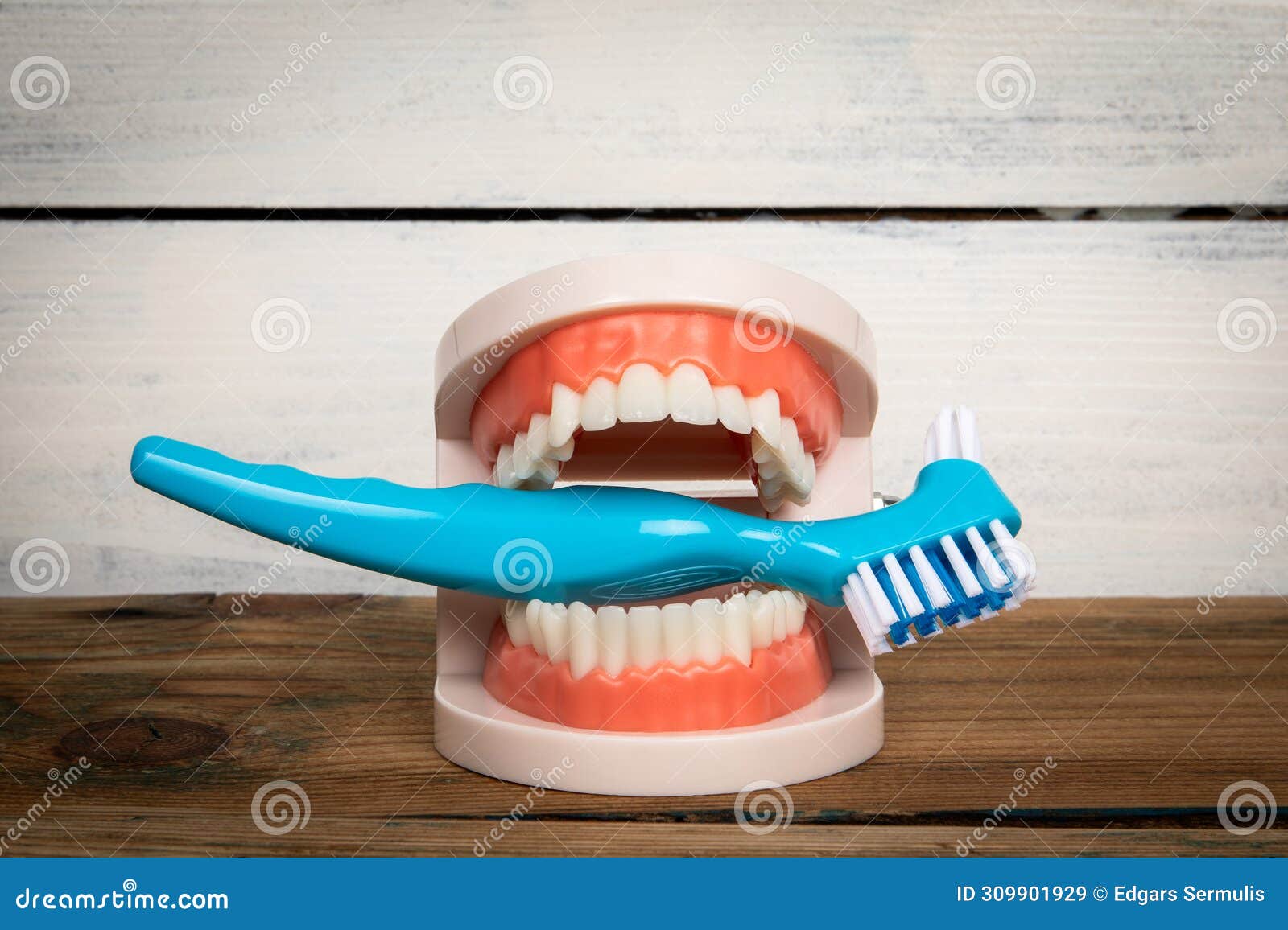 Toothbrush between Teeth of Teeth Pattern on a Wooden Background. Tooth ...