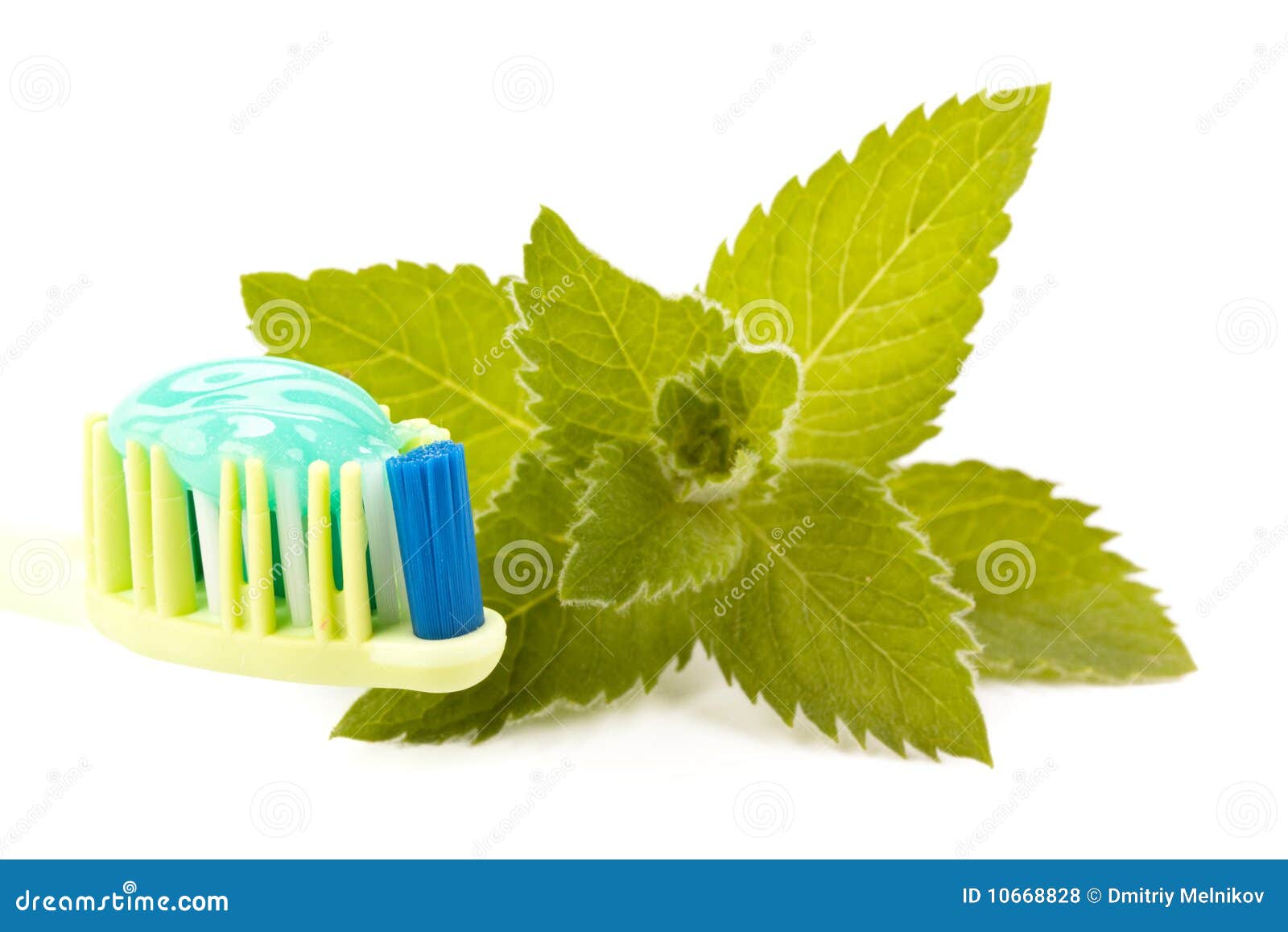 Toothbrush, Toothpaste and Fresh Leaves of Mint Stock Photo - Image of ...