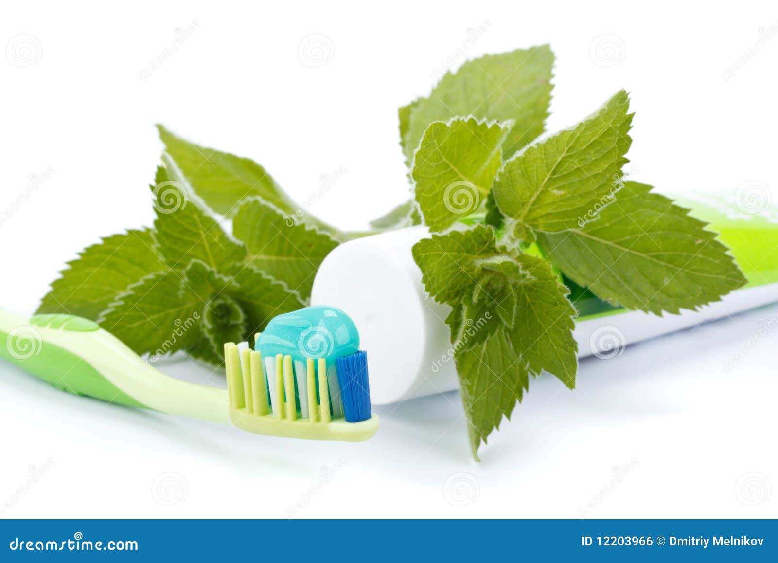 Toothbrush, Toothpaste and Fresh Leaves of Mint Stock Photo - Image of ...