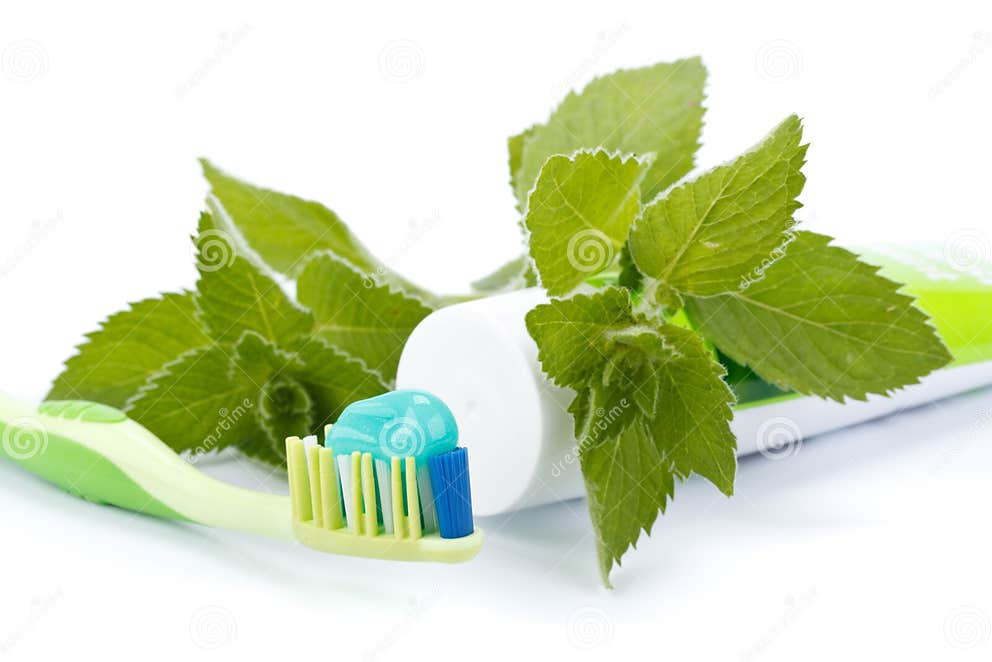 Toothbrush, Toothpaste and Fresh Leaves of Mint Stock Photo - Image of ...