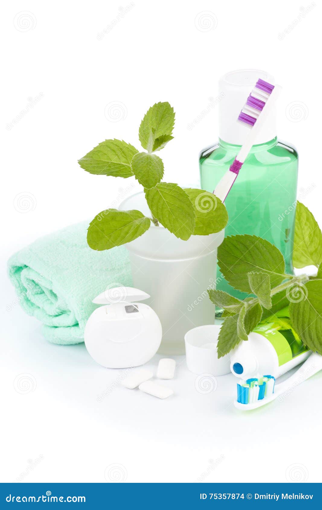 Toothbrush with Toothpaste and Fresh Leaves of Mint Stock Photo - Image ...