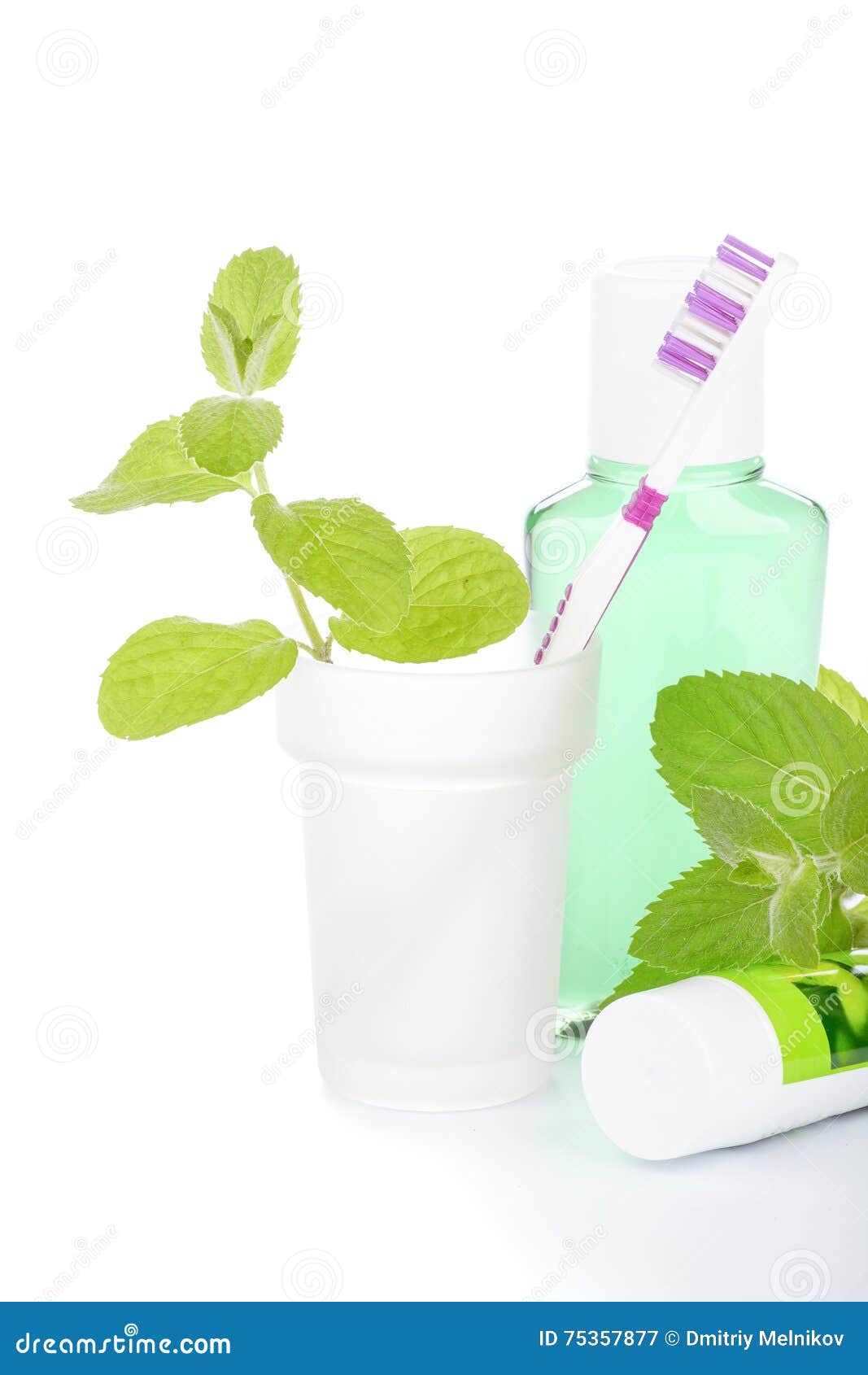 Toothbrush with Toothpaste and Fresh Leaves of Mint Stock Image - Image ...