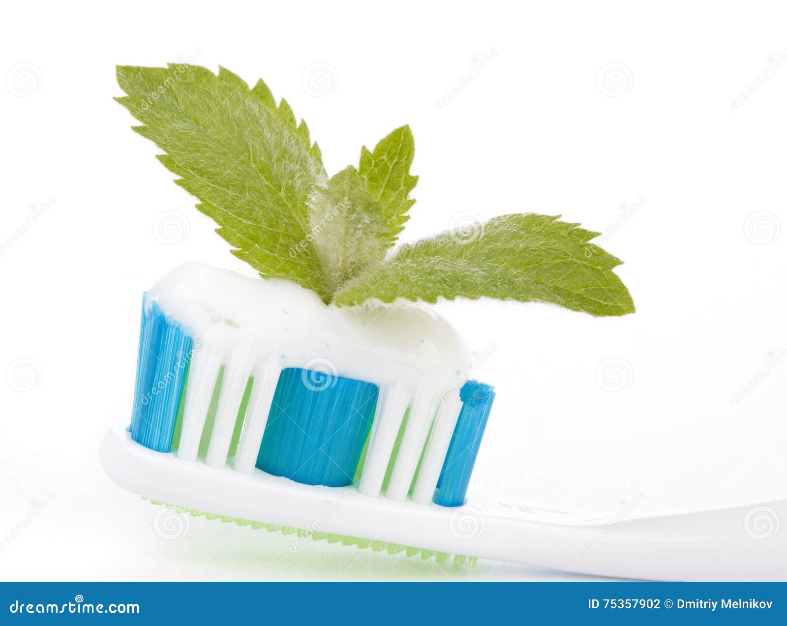 Toothbrush with Toothpaste and Fresh Leaves of Mint Stock Photo - Image ...