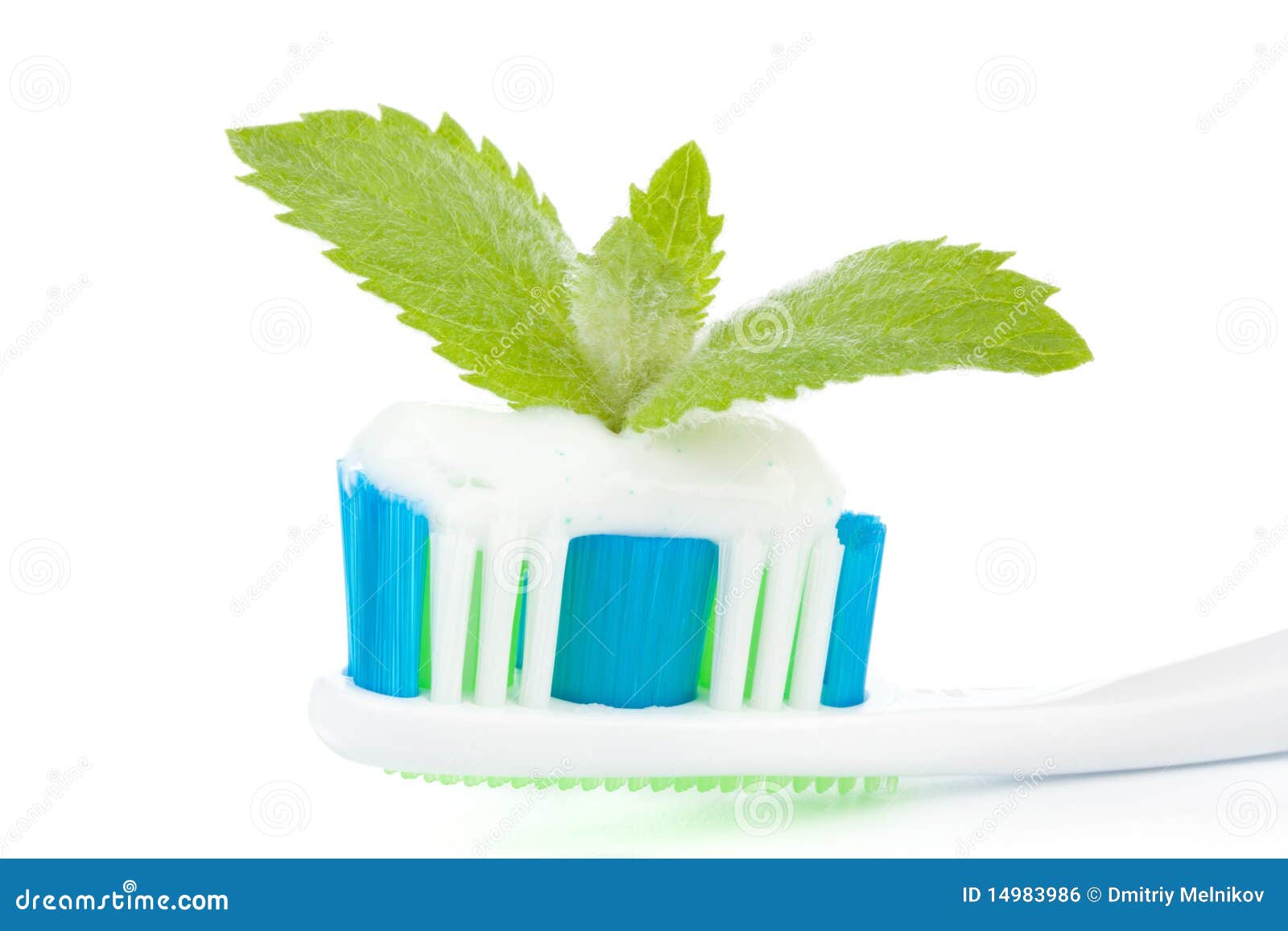Toothbrush, Toothpaste and Leaves of Mint Stock Photo - Image of ...