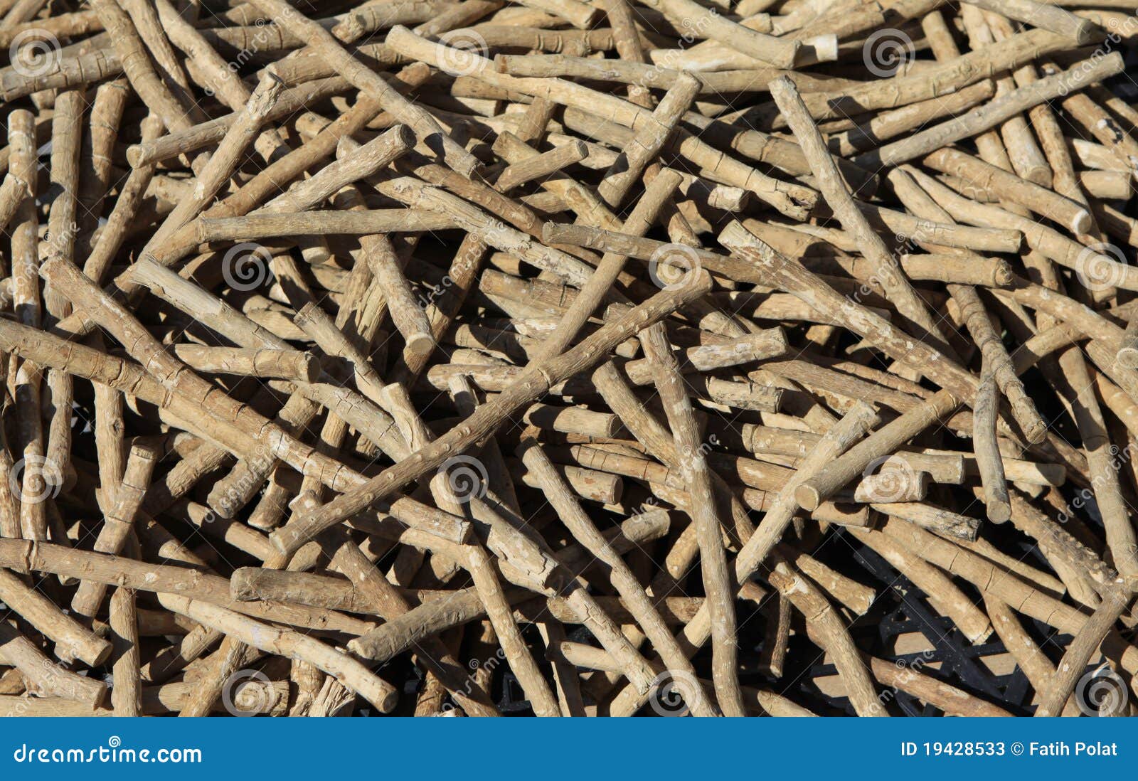 Toothbrush Tree: Misvak Stock Photos - Image: 19428533