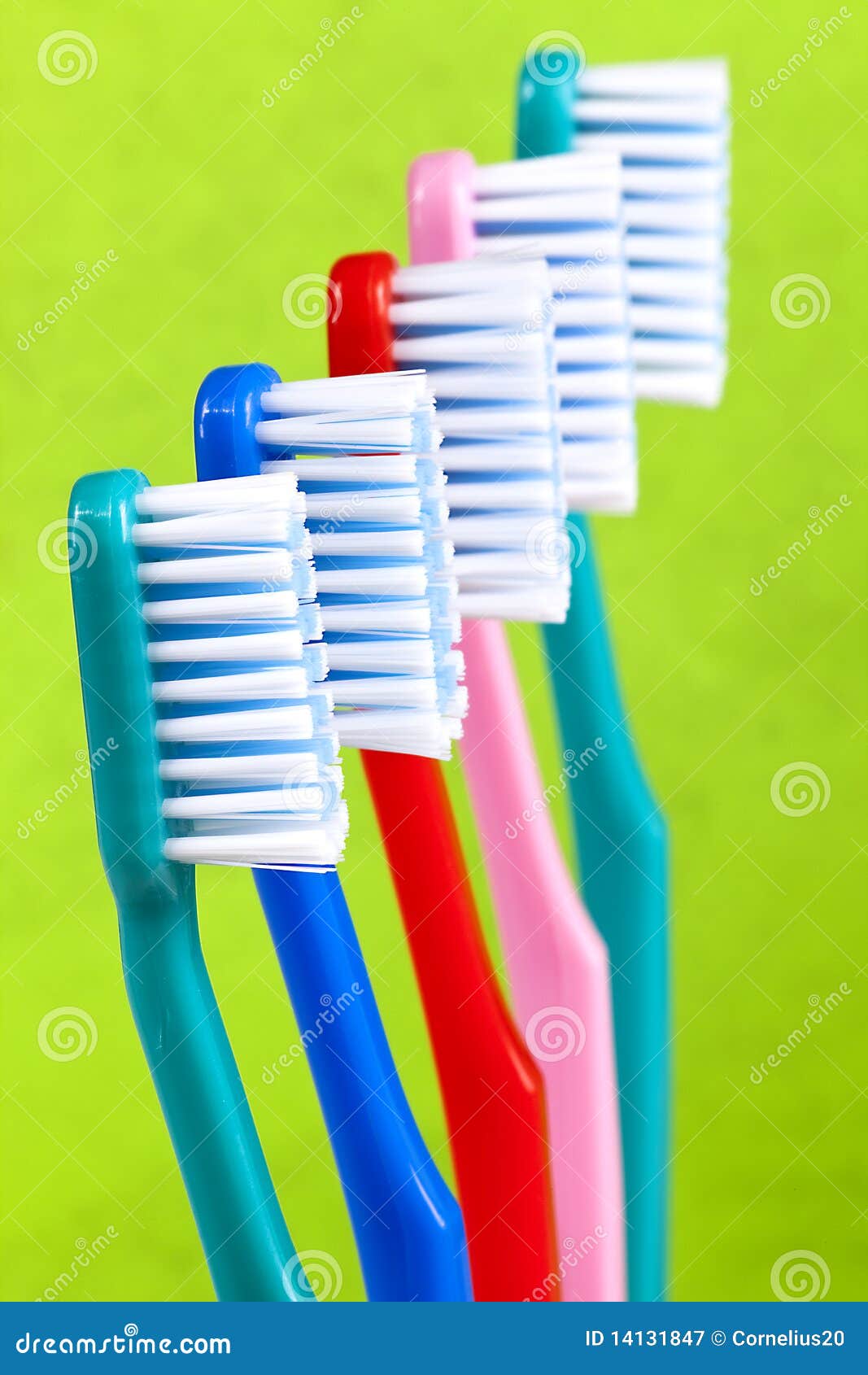 Toothbrushes Picture. Image: 14131847