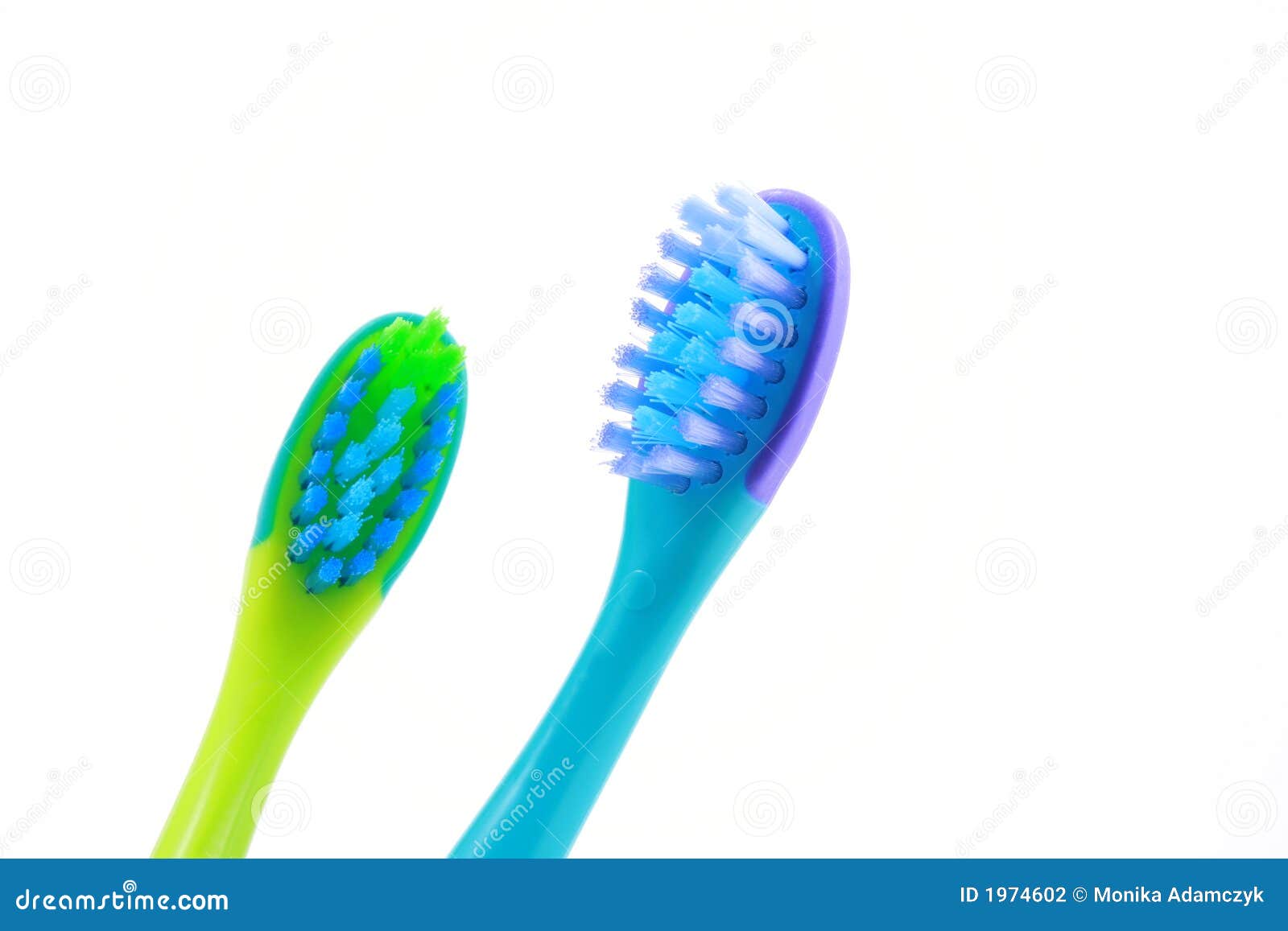 Toothbrushes stock photo. Image of oral, routine, hygiene - 1974602