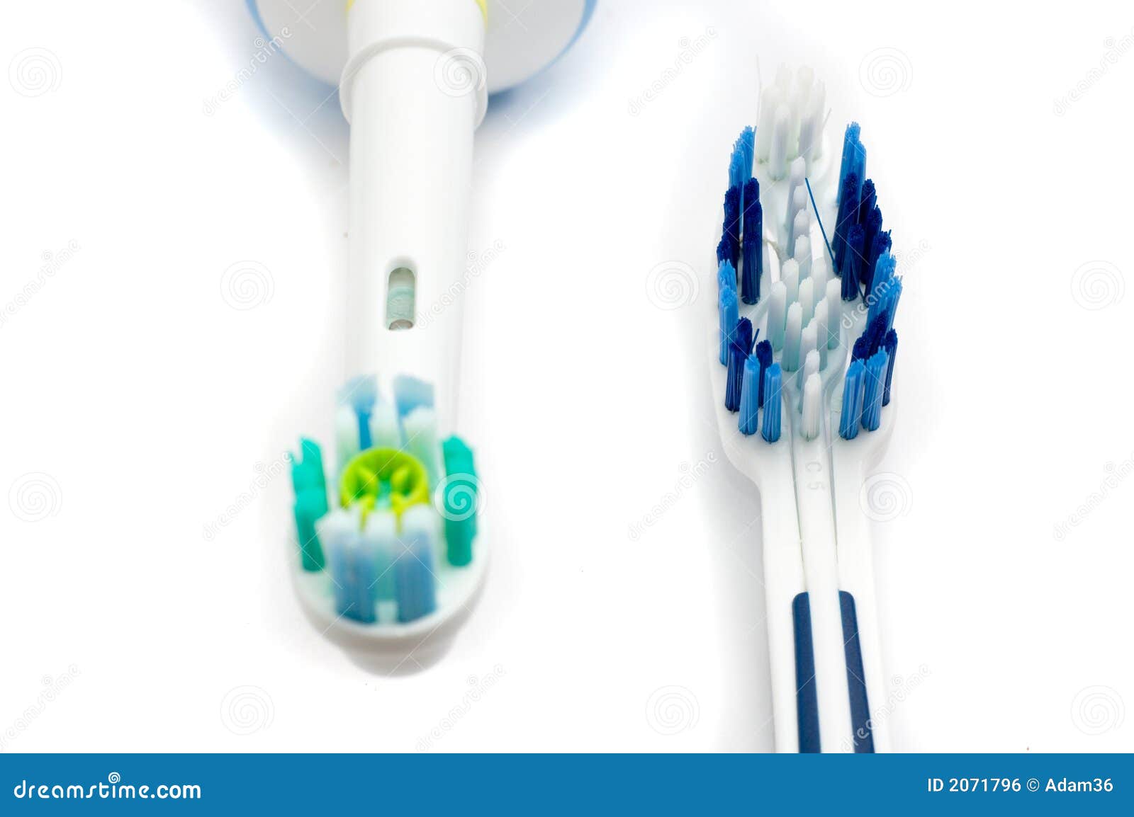 Toothbrushes Picture. Image: 2071796