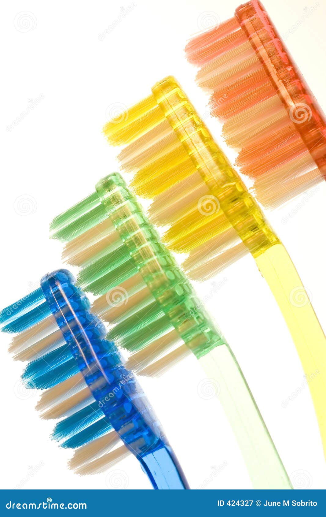 Toothbrushes stock image. Image of brush, dental, dentist - 424327